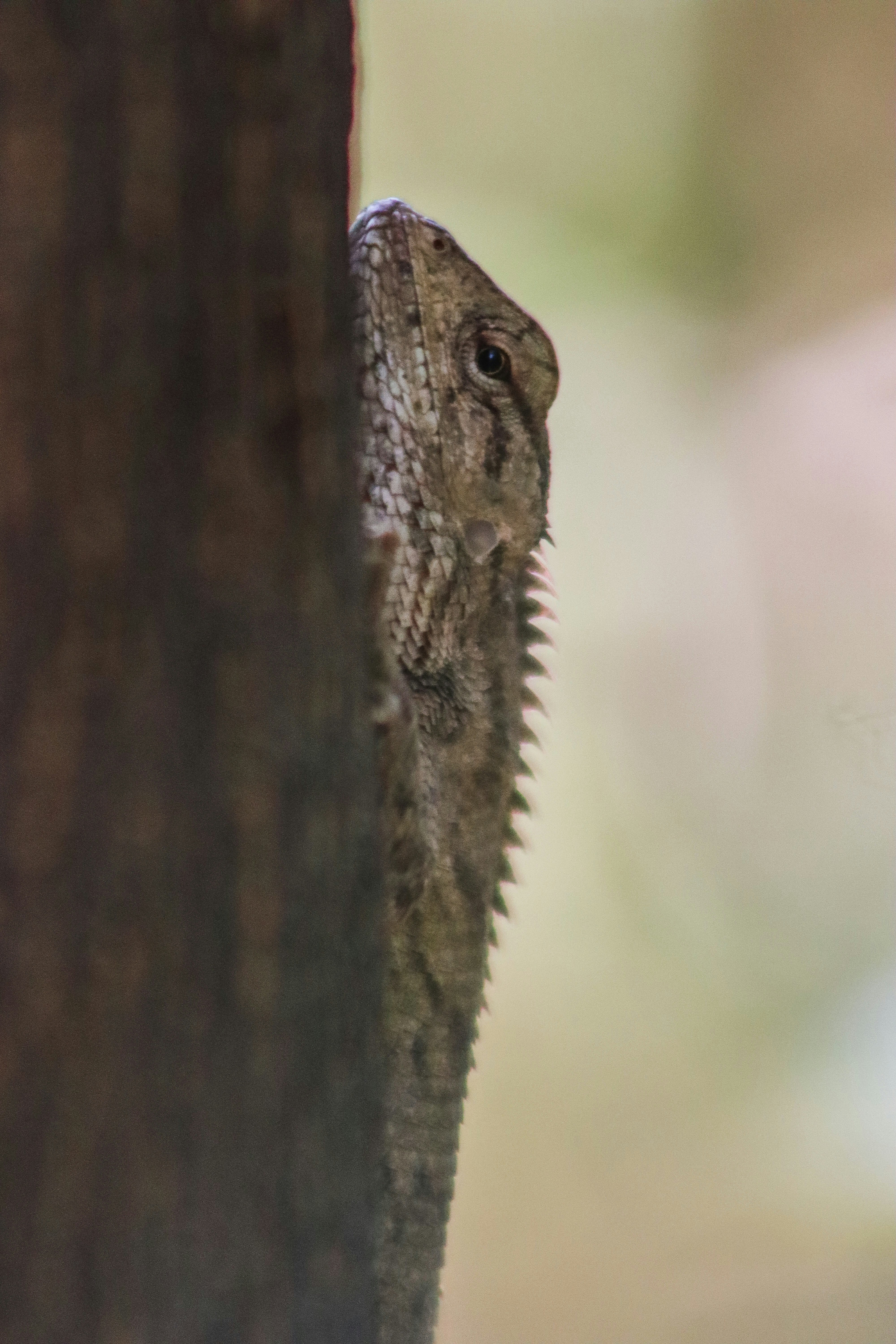 Photo by Anees Ur Rehman with Canon EOS 250D