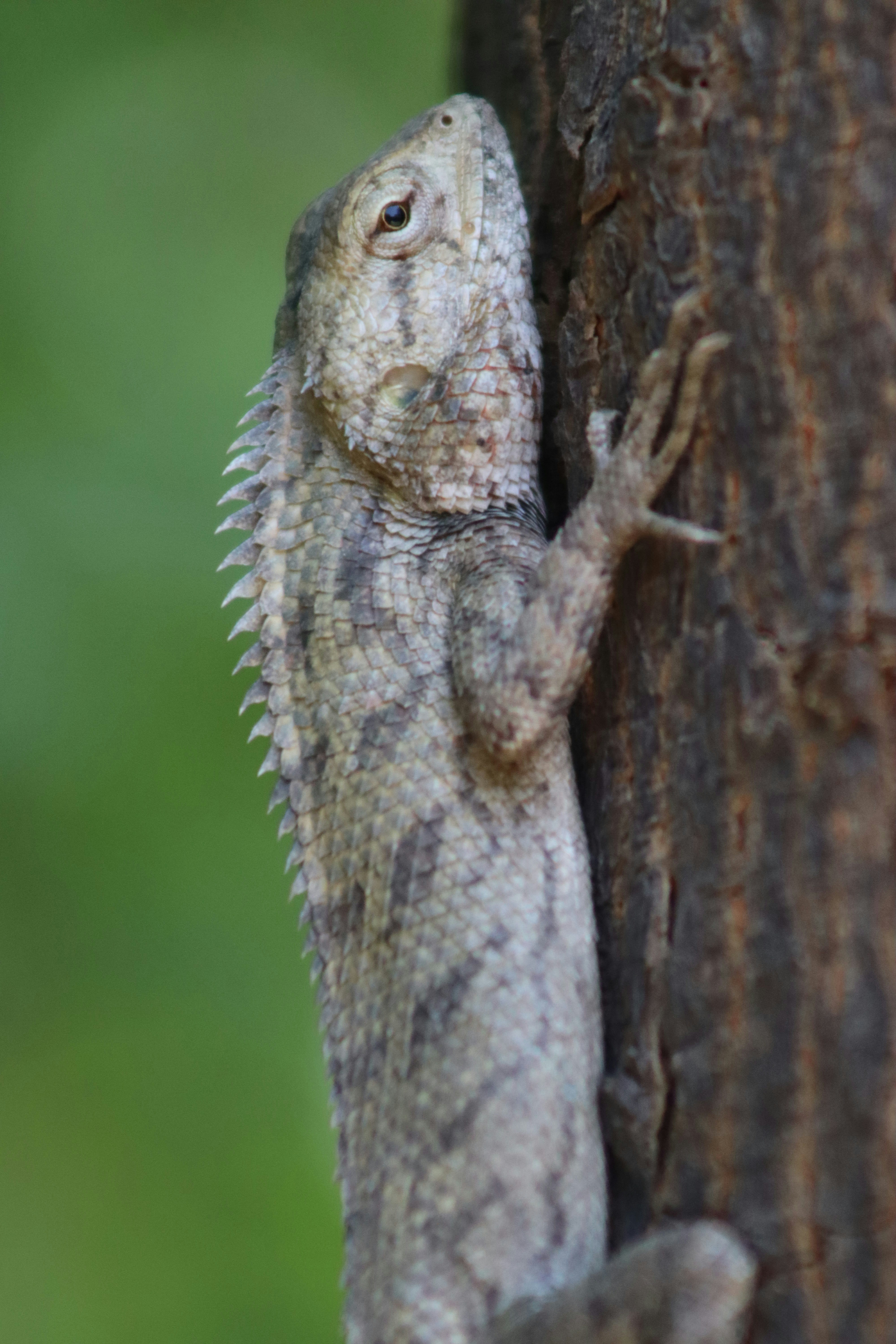 Photo by Anees Ur Rehman with Canon EOS 250D