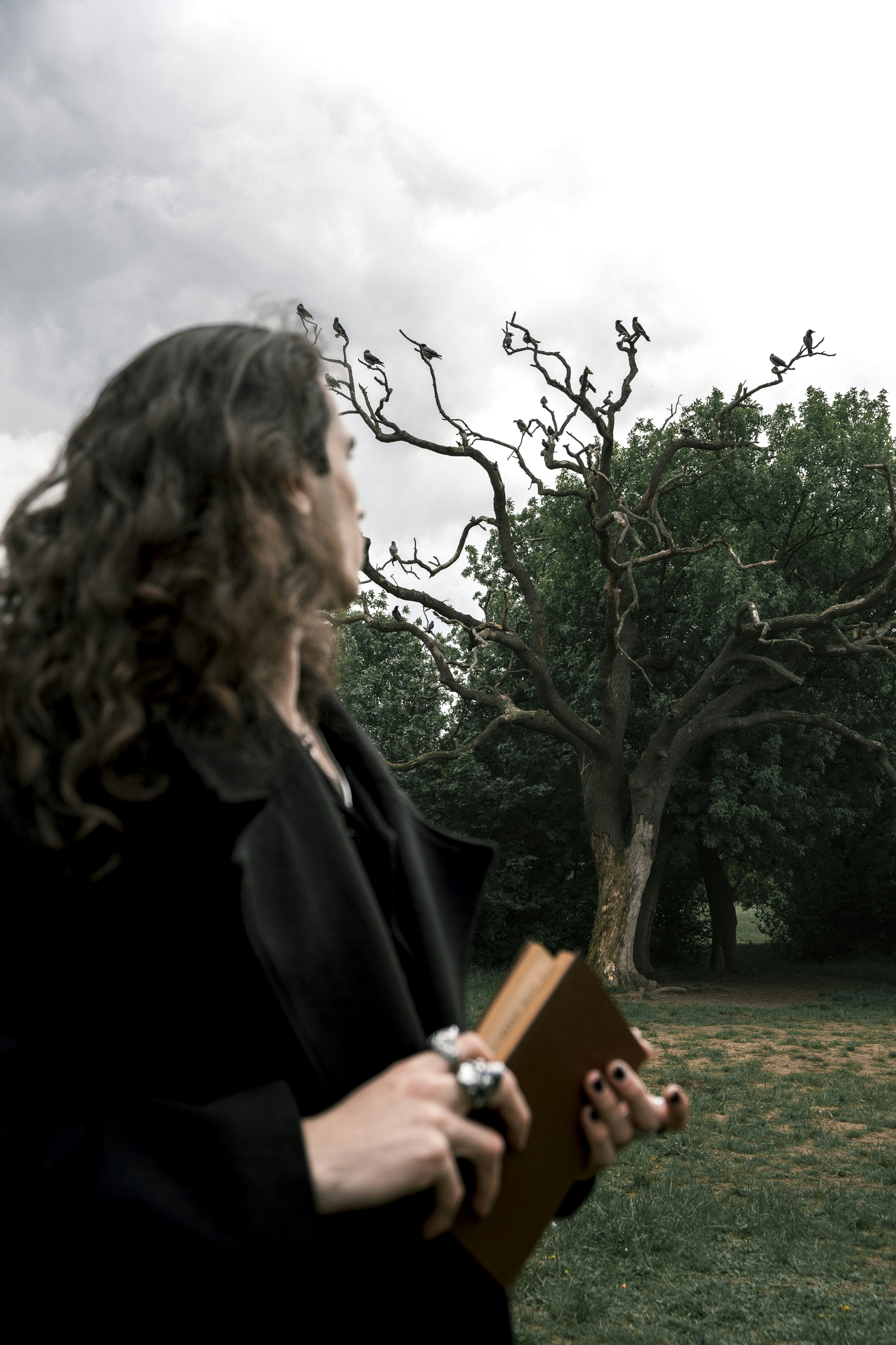 Whispers of a Treeline: A Portrait by the Wind