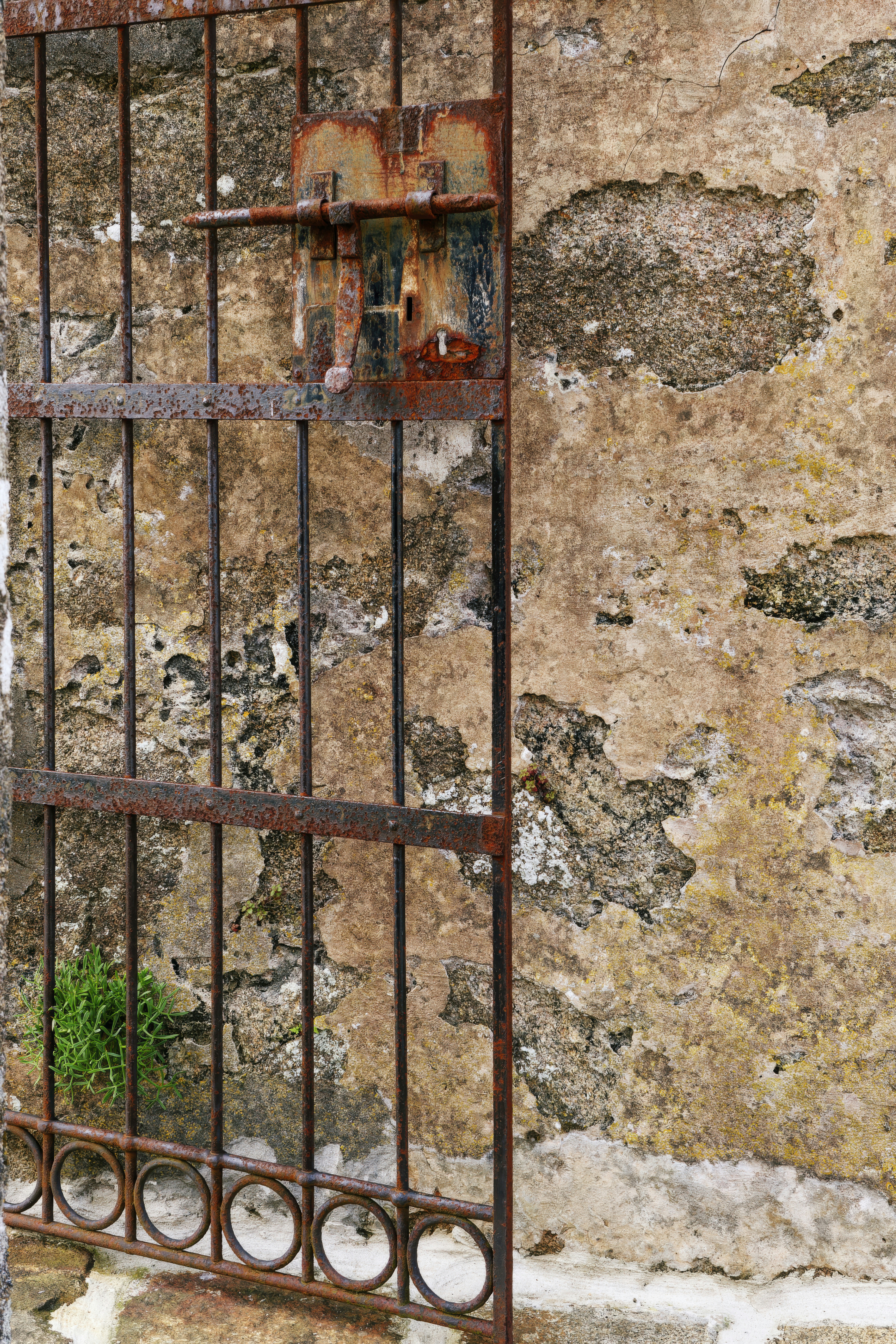 Rusted Metal Gate and Weathered Stone Wall in Daylight - A rusty metal gate, with a rusted metal latch, is attached to a weathered stone wall. The stone wall shows signs of erosion and age. A small patch of green grass grows at the base of the wall.
