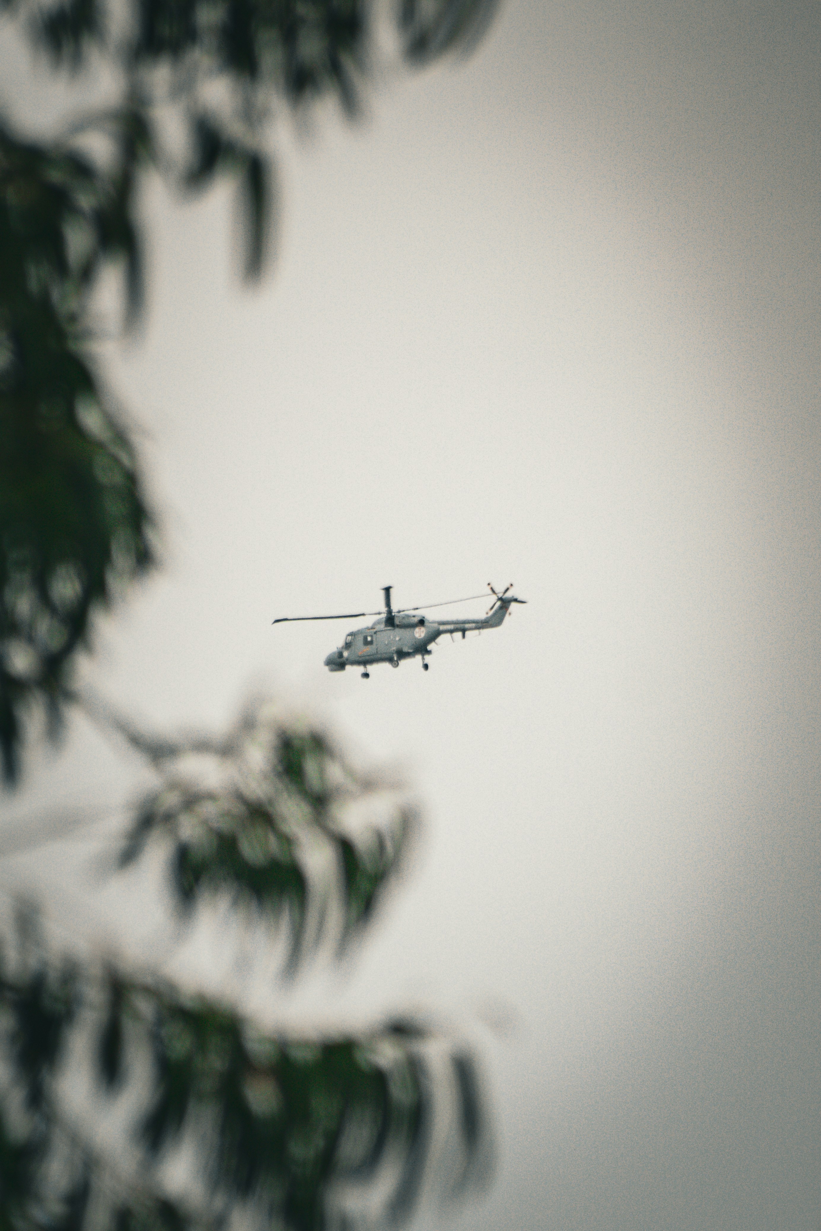 Silent Sentinel: Helicopter Hovering Between Fringes of Foliage