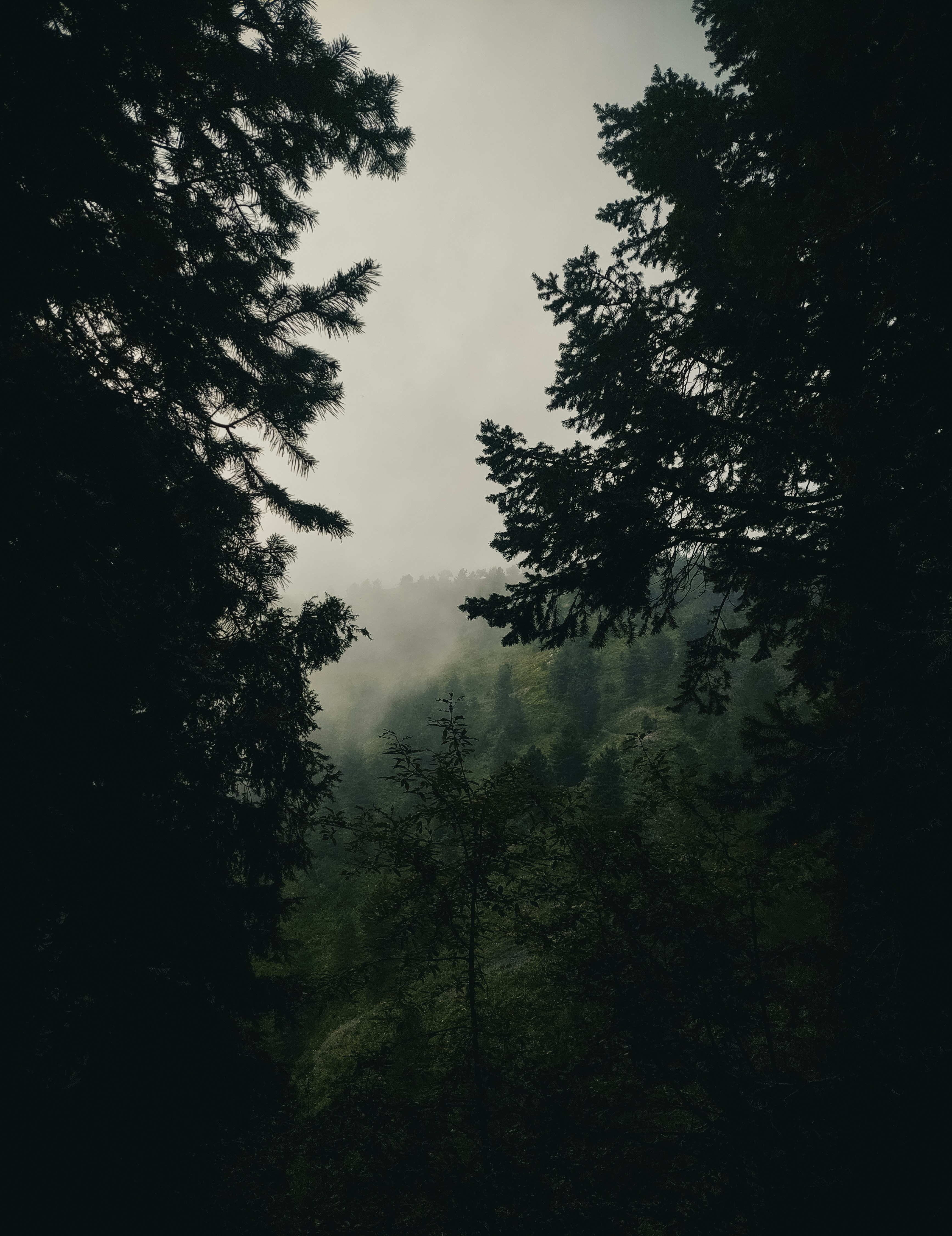 Photo by Muhammad Hassan Javed with Samsung Galaxy A52