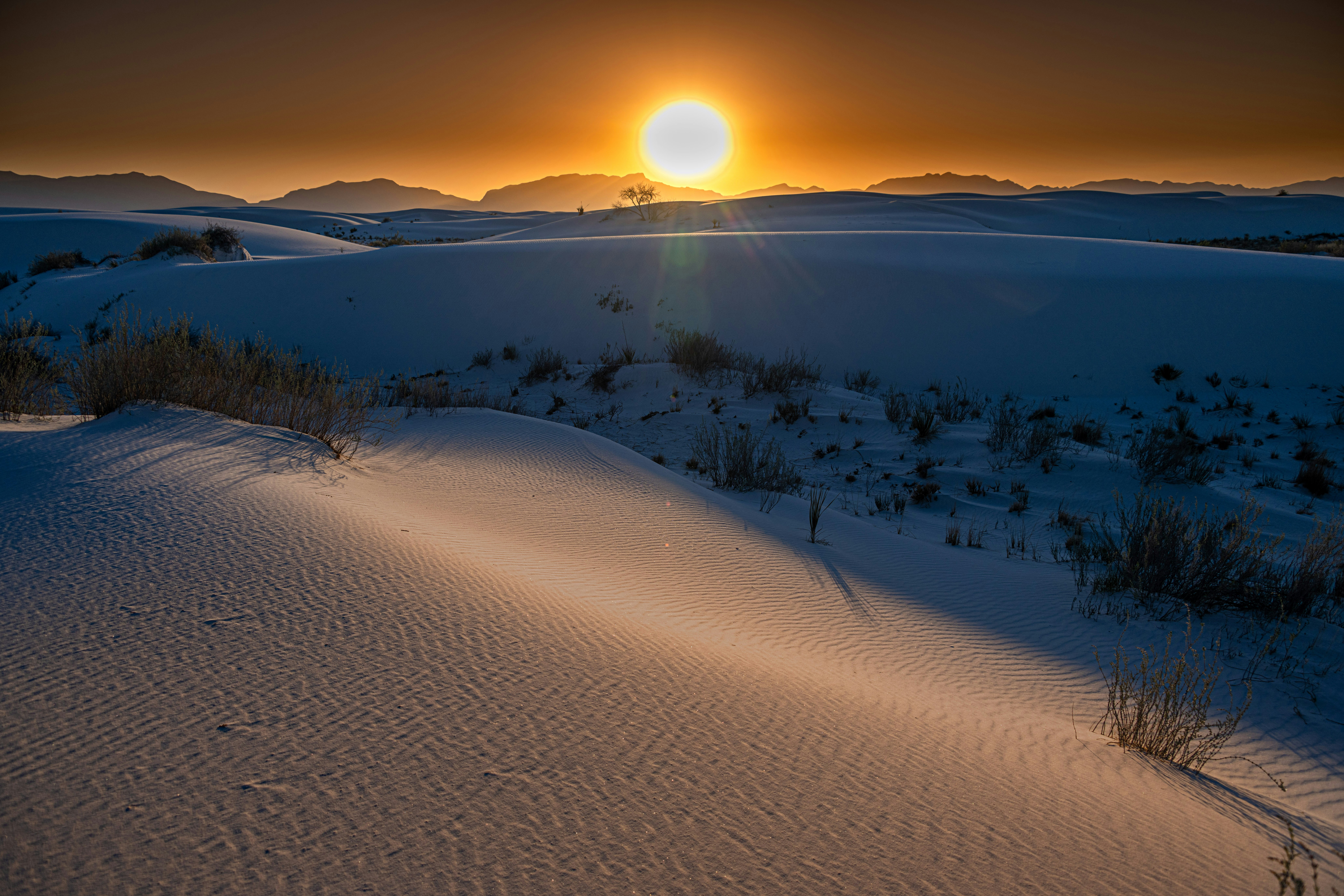 Sample photo from Nikon Z8