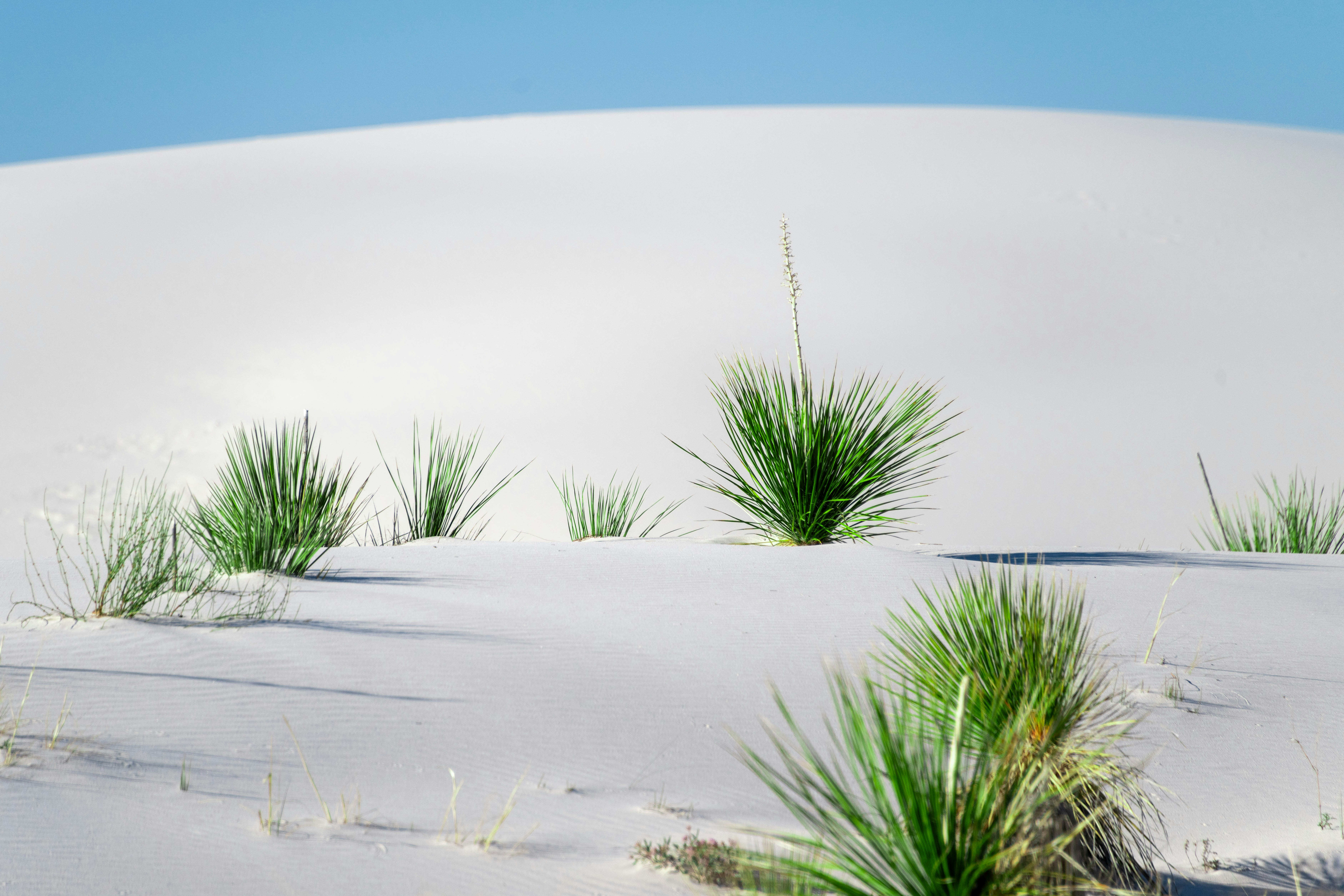 Nature | 100+ best free photos on Unsplash