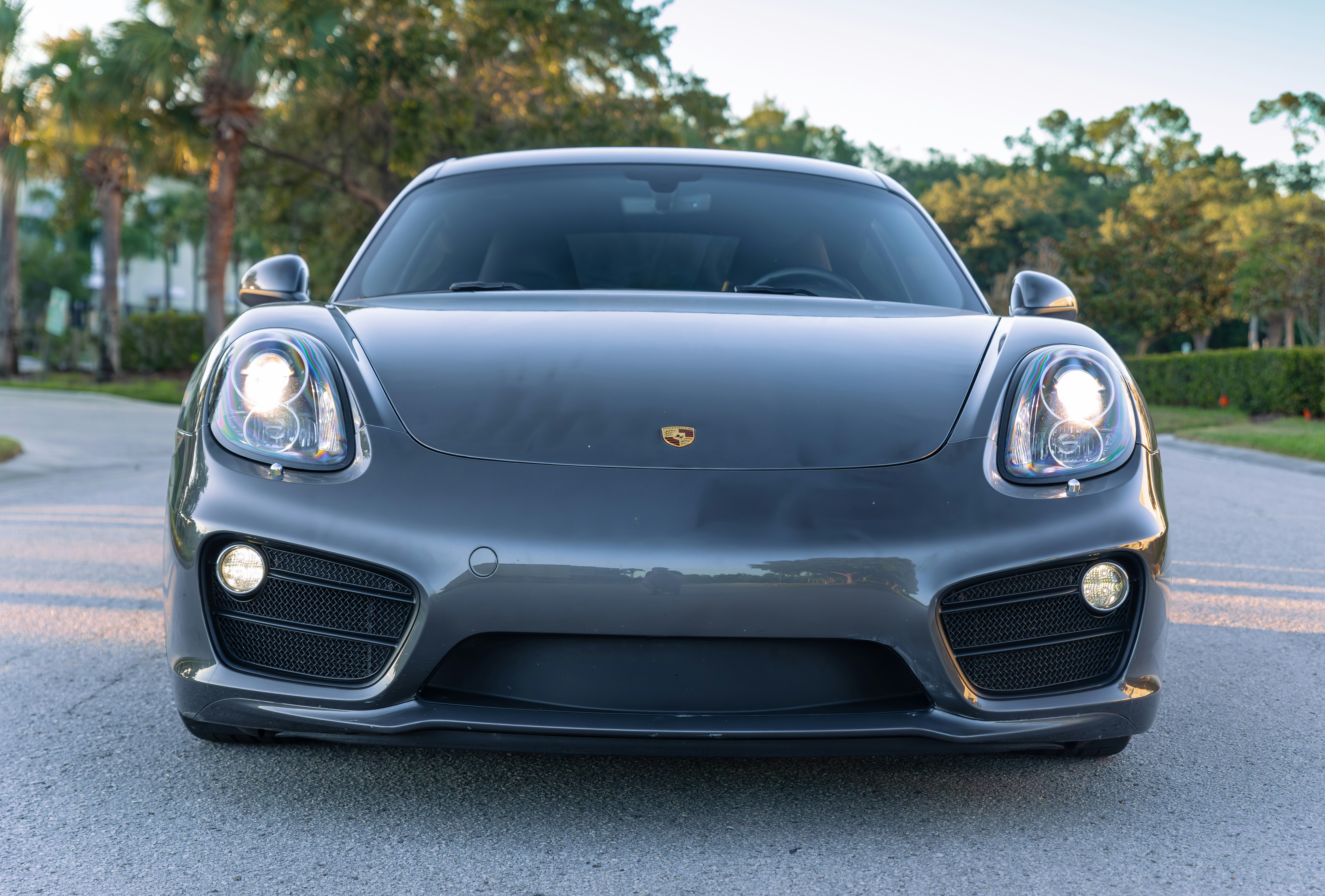 Photo by Bradikan with Canon EOS R