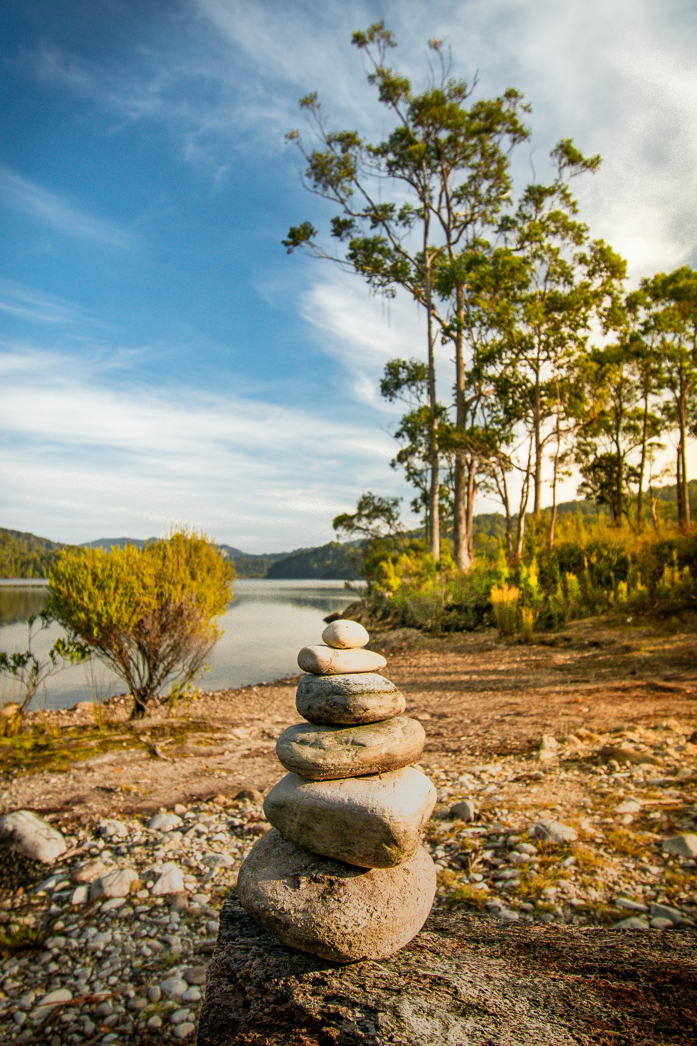 Stacked Stones at the Lakeshore: Quiet Geometry Beneath Pine Shadows