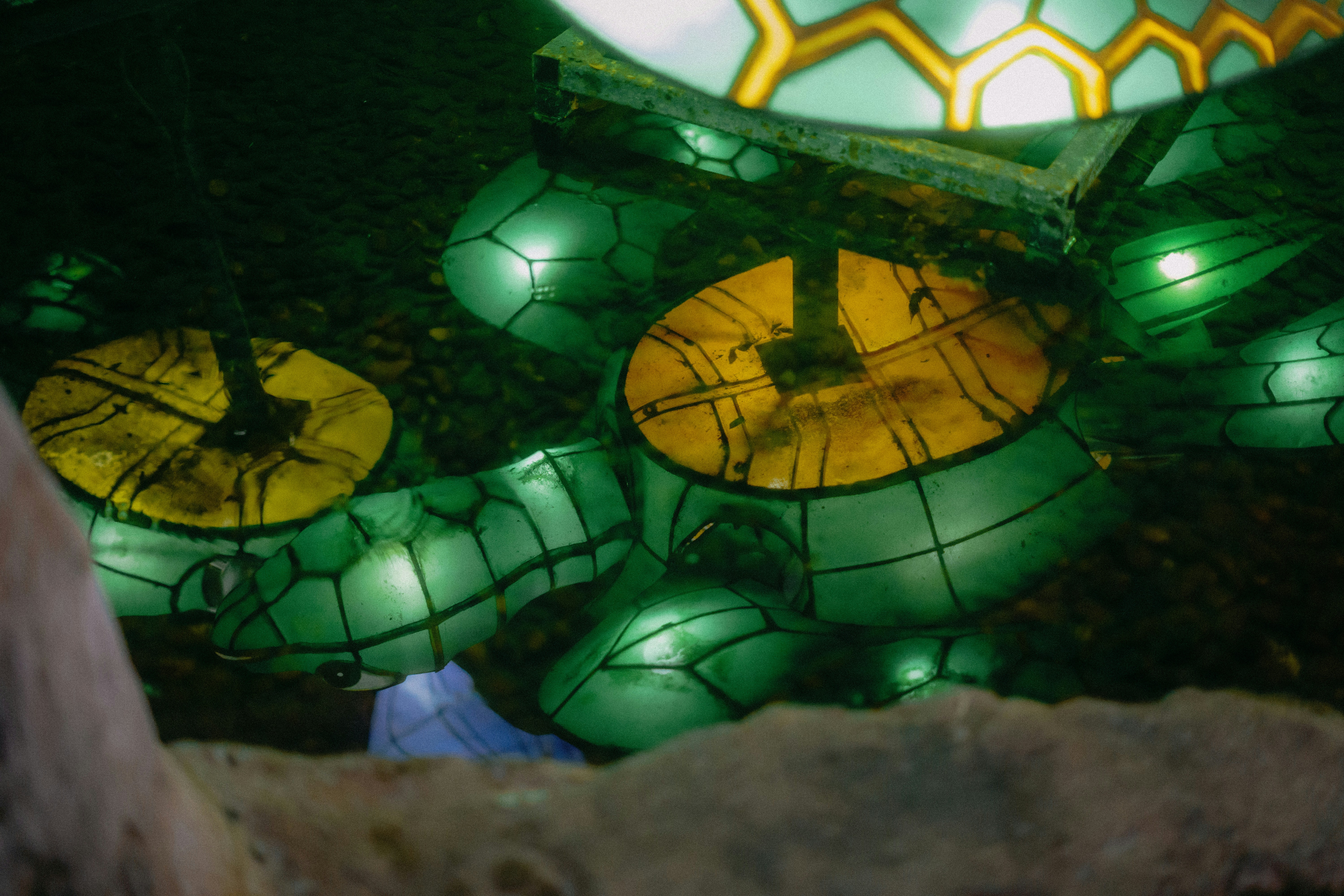 Photo by Pandhuya Niking with Sony Alpha 7C