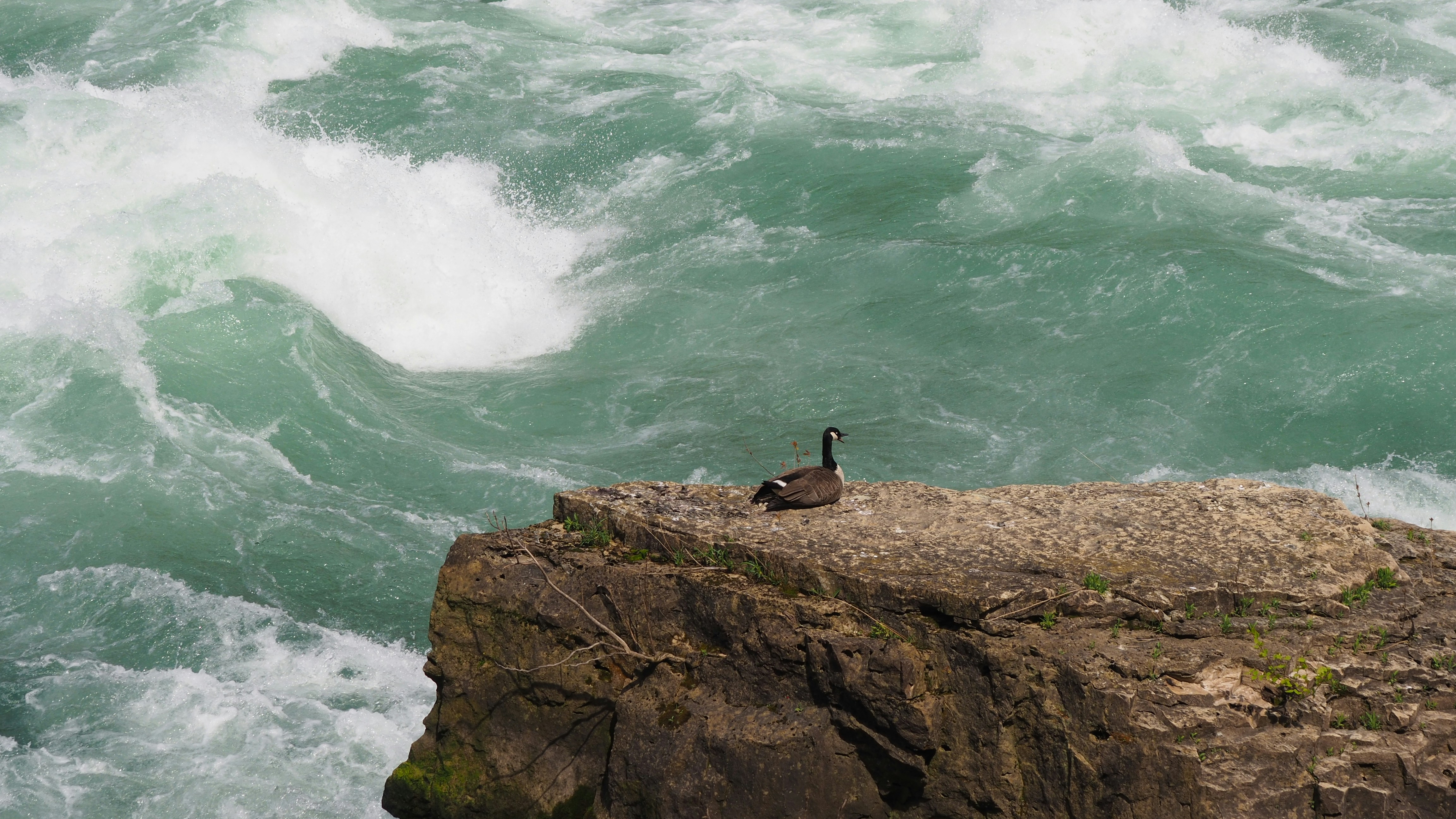 Photo by Hazwan Kosni with Olympus OM-D E-M10 Mark II