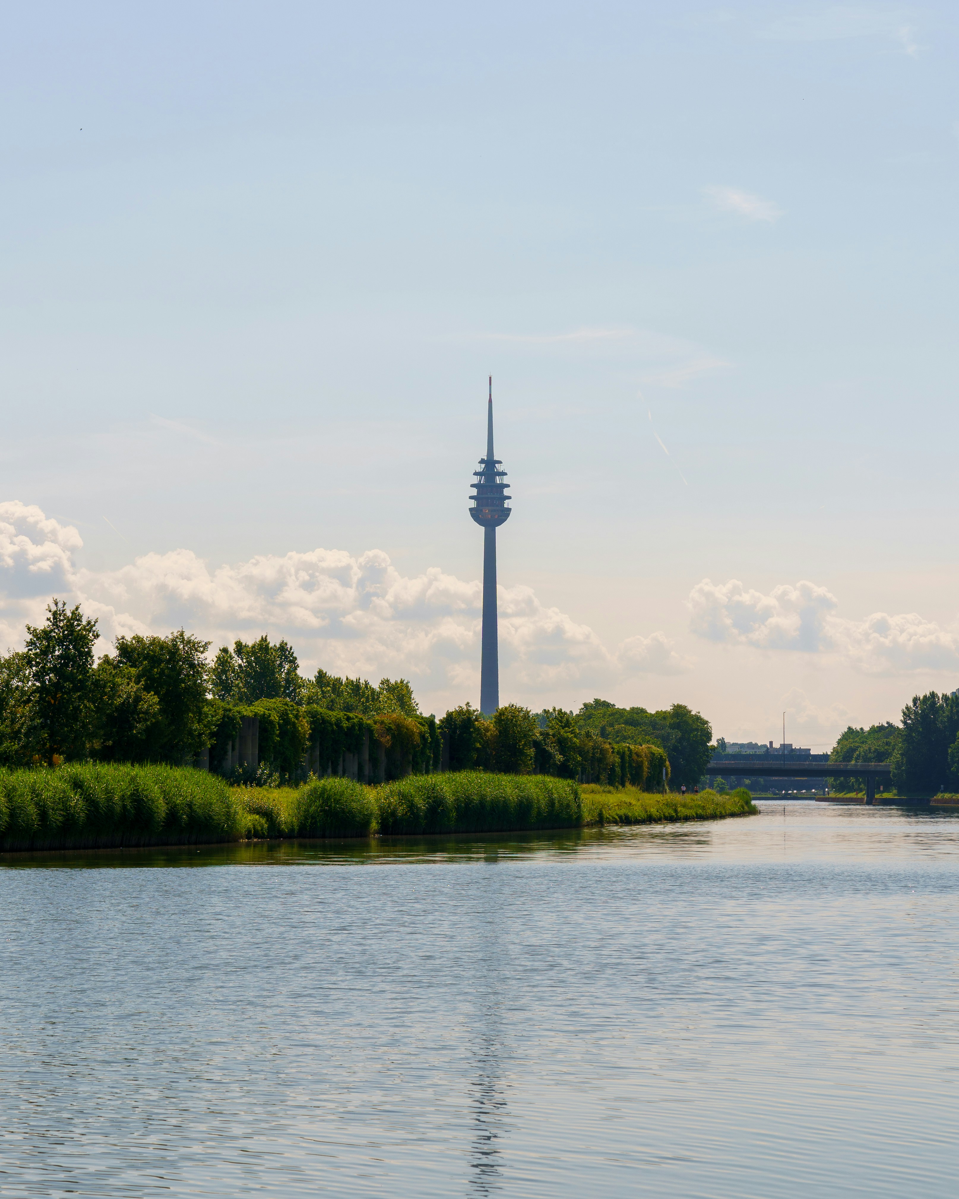 Spire Over the Quiet Bend: Riverside Tower in Dappled Light