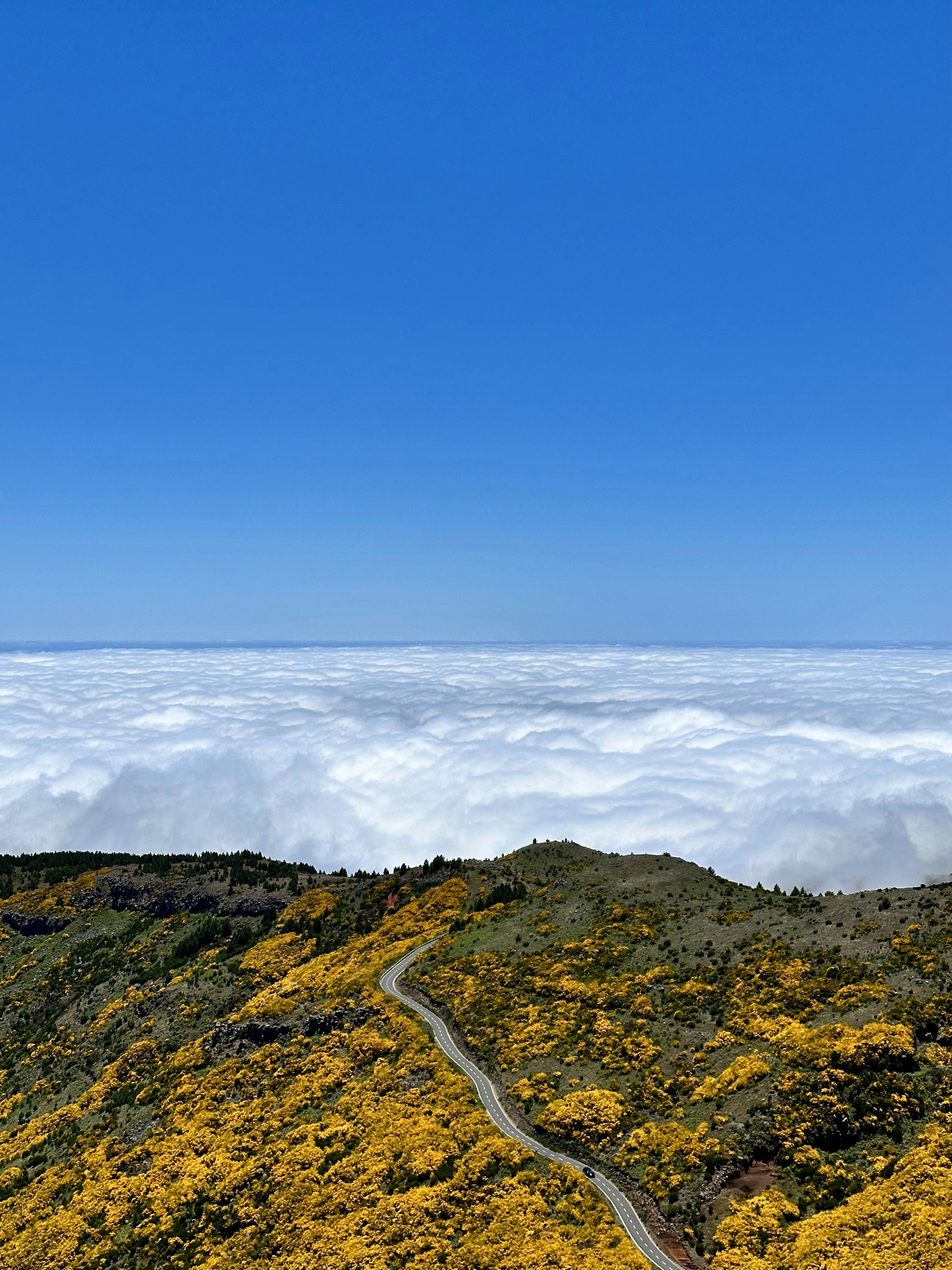 Journey Above the Clouds: A Serene Ascent