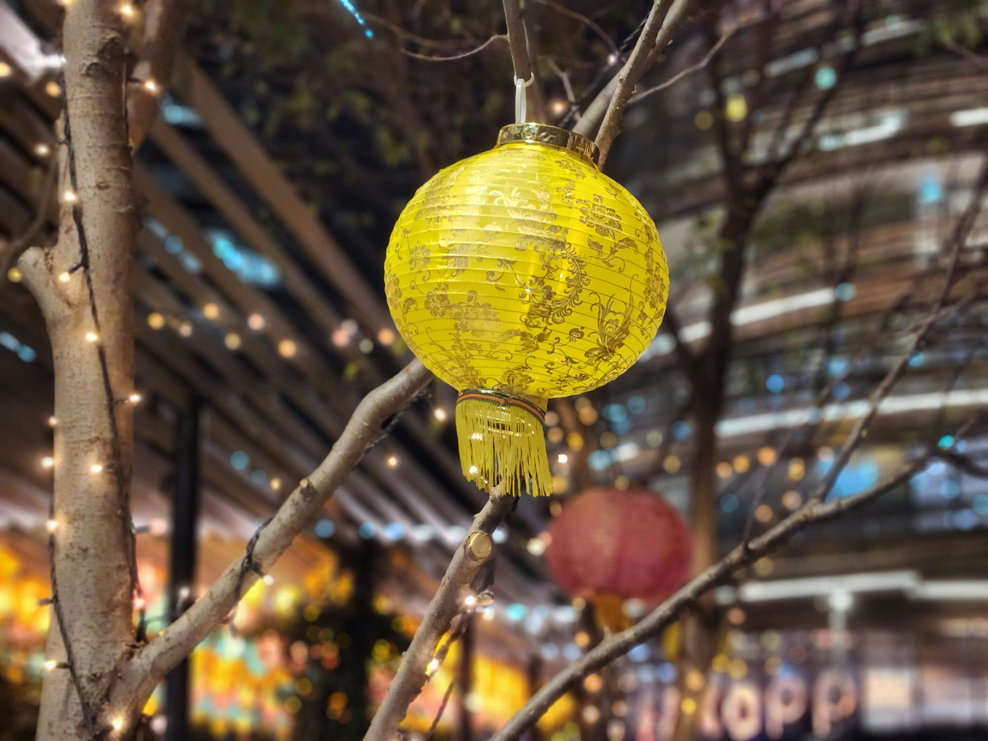 A yellow lantern hanging from a tree in front of a building photo ...