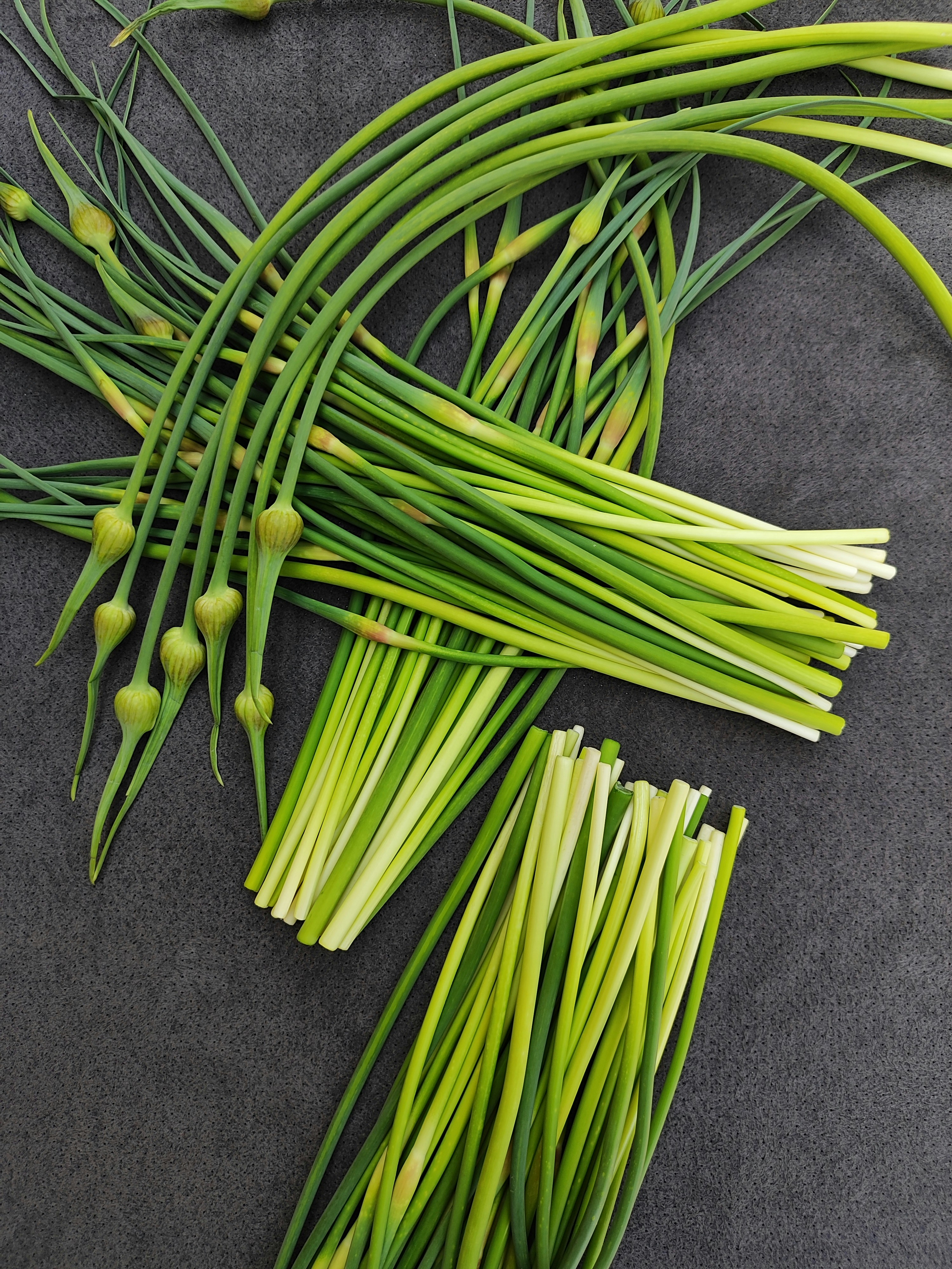 Photo by Anna Evans with Xiaomi Poco X5 Pro