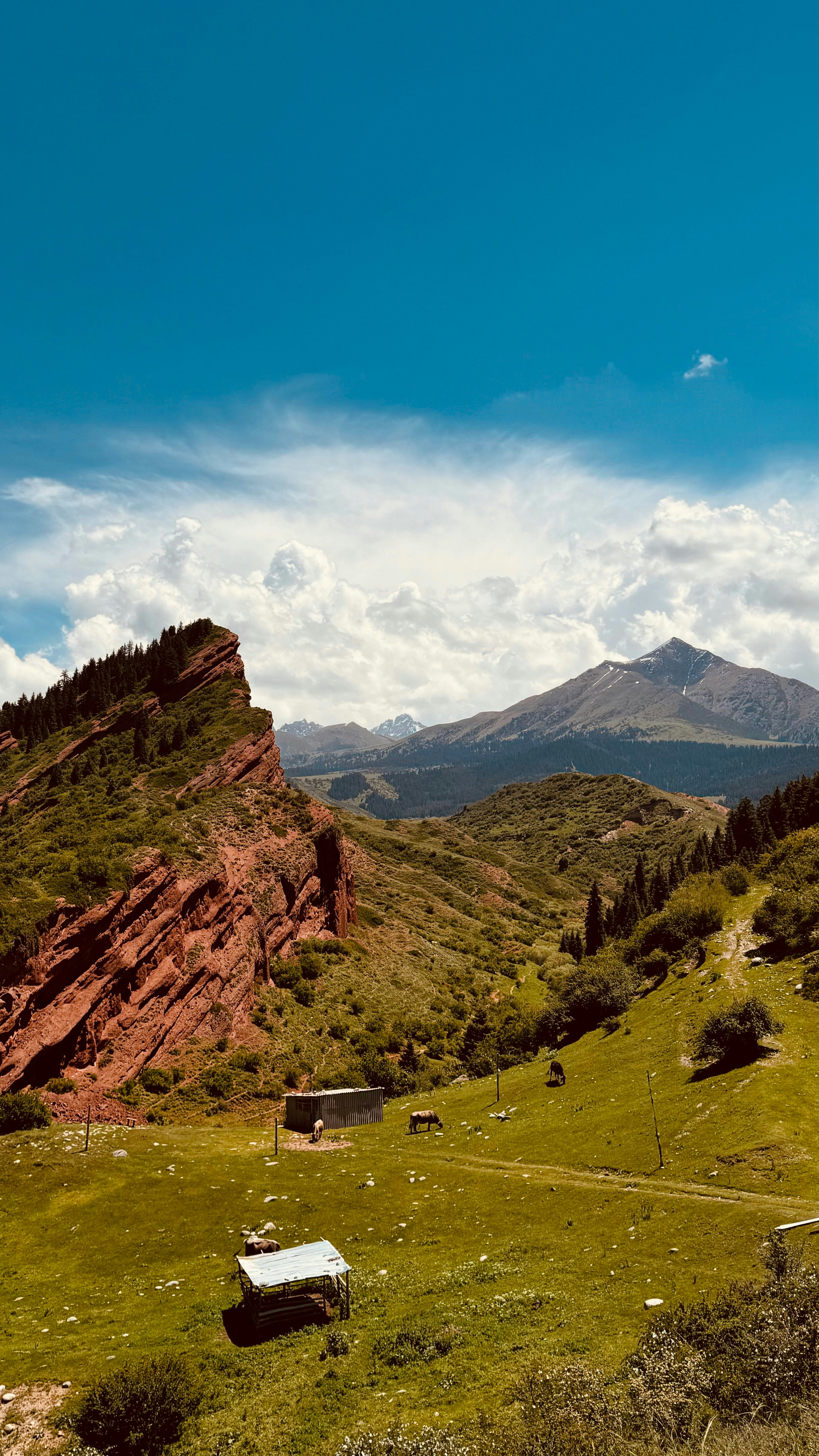 Red Rock Sentinel Over Alpine Meadow Under a Clear Blue Sky