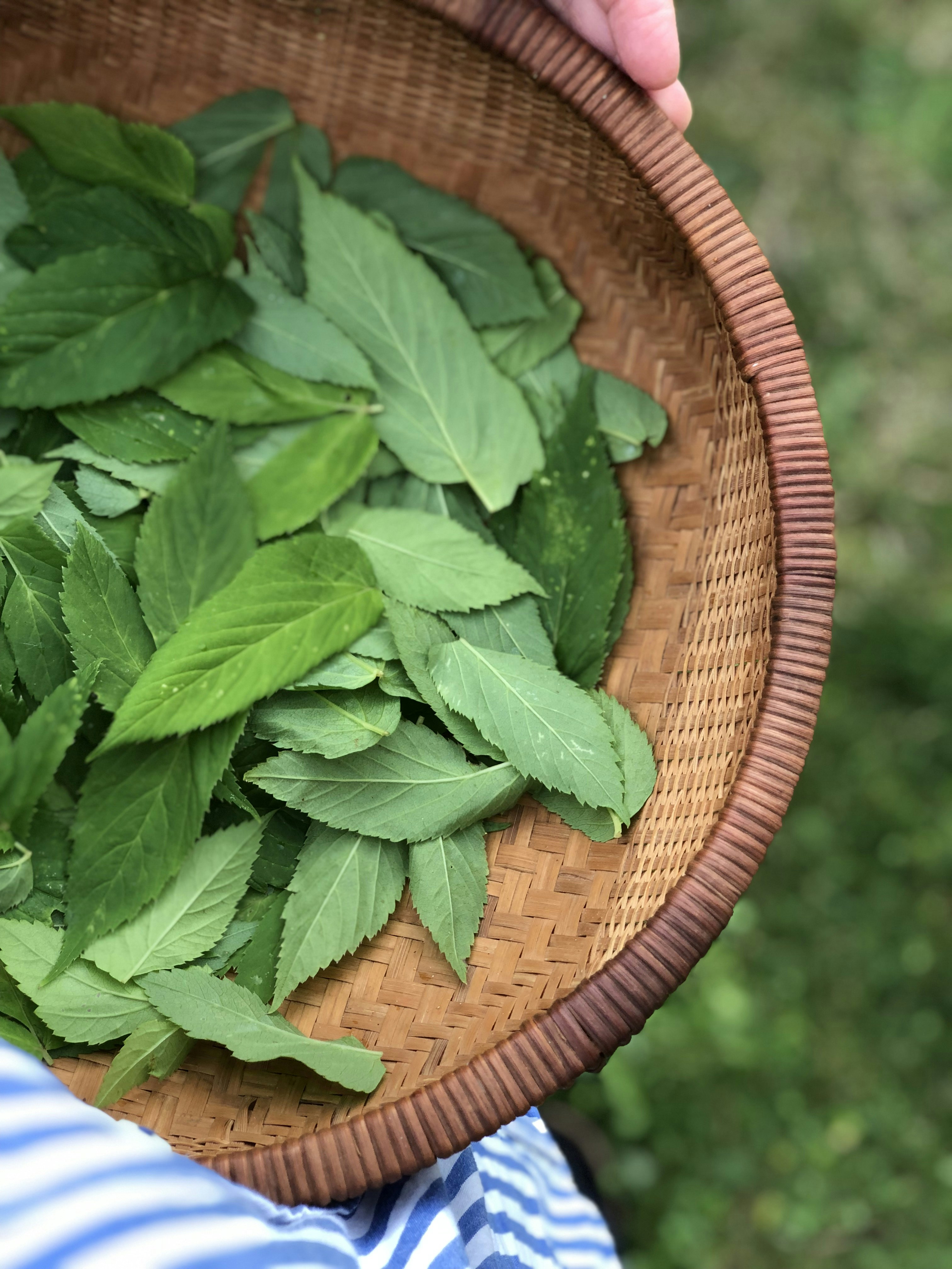 Photo by Anna Voss with Apple iPhone X