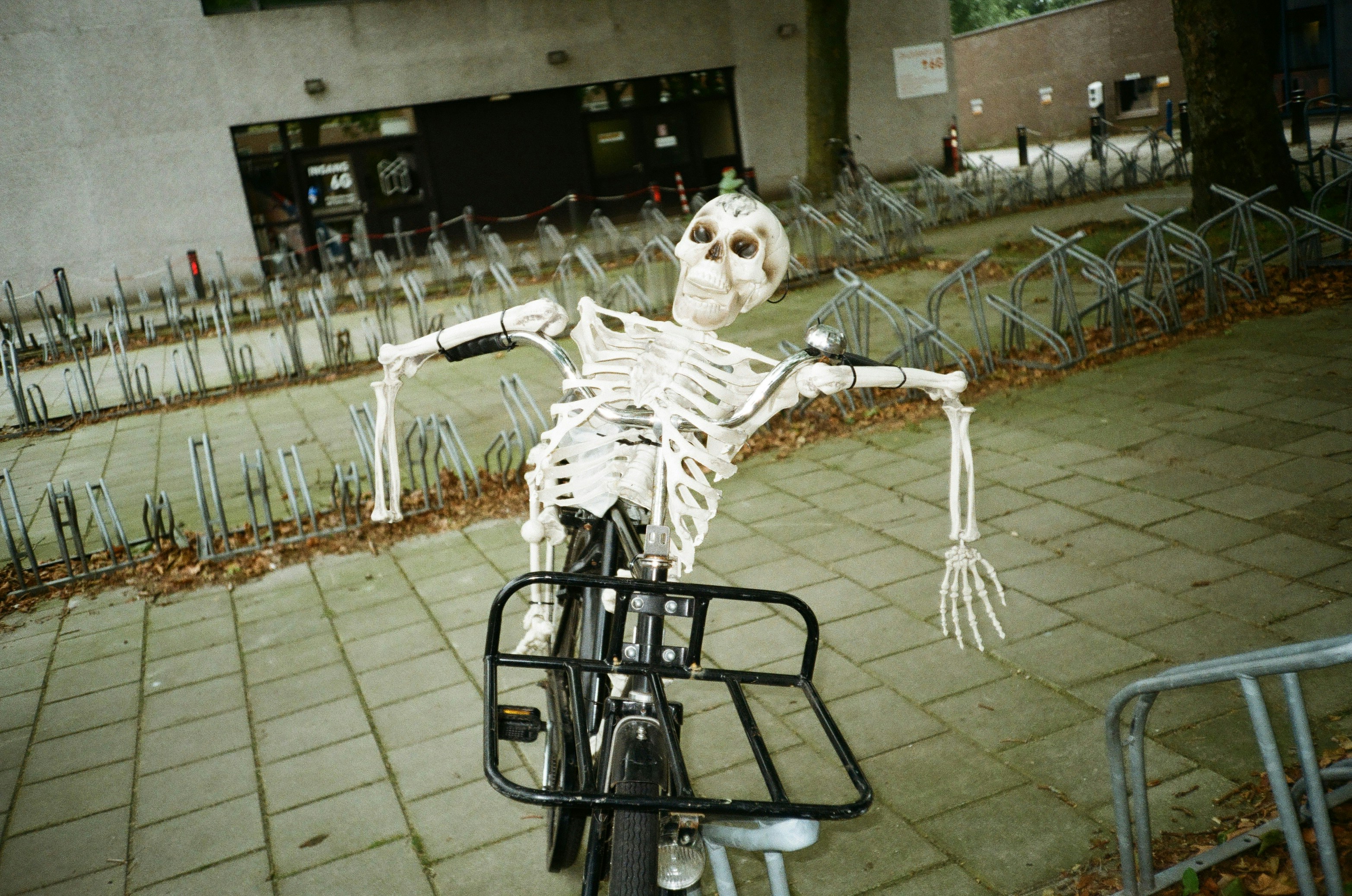 Eternal Ride: Skeleton on a Bicycle