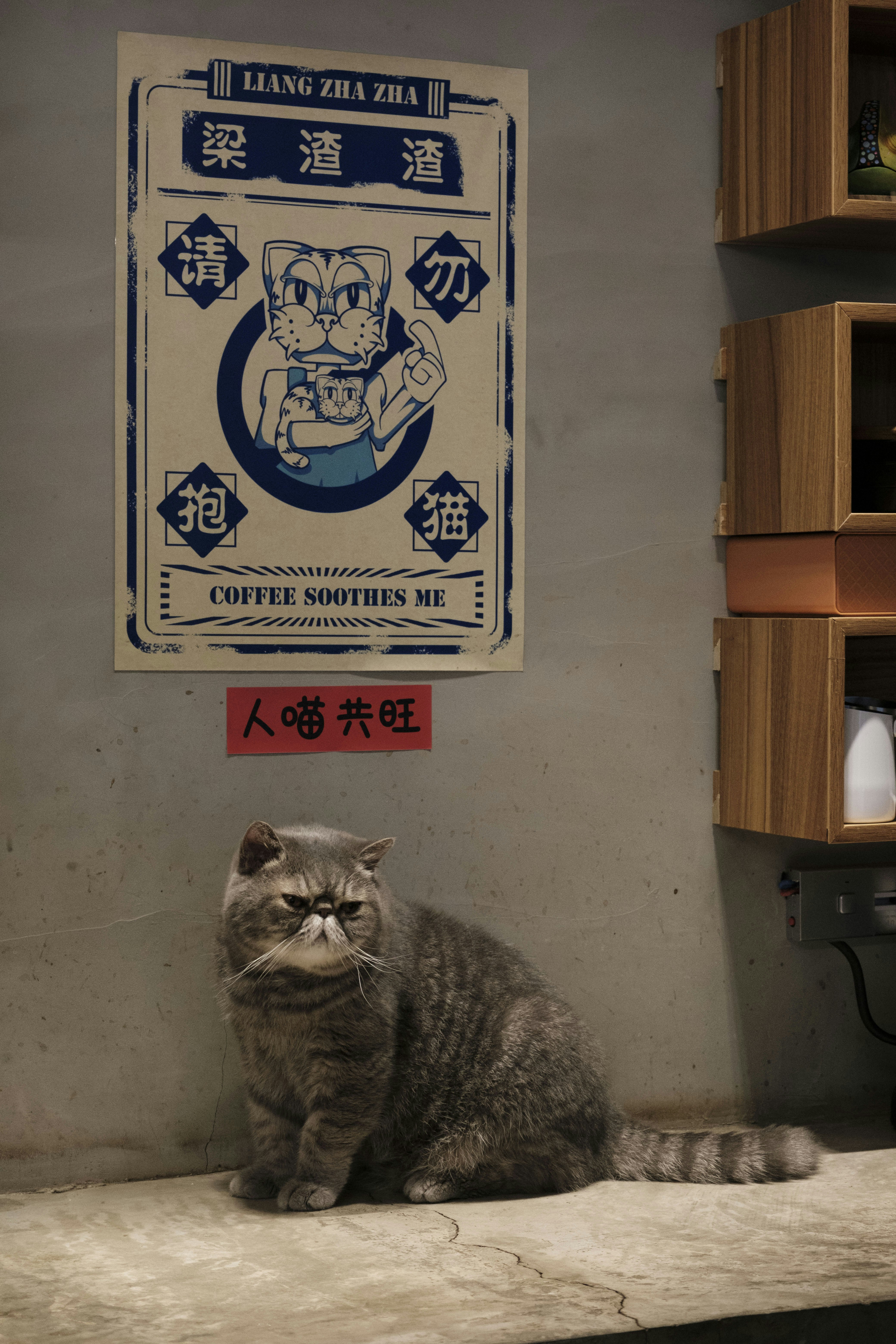 Grumpy Café Cat Beneath a Witty Coffee Poster