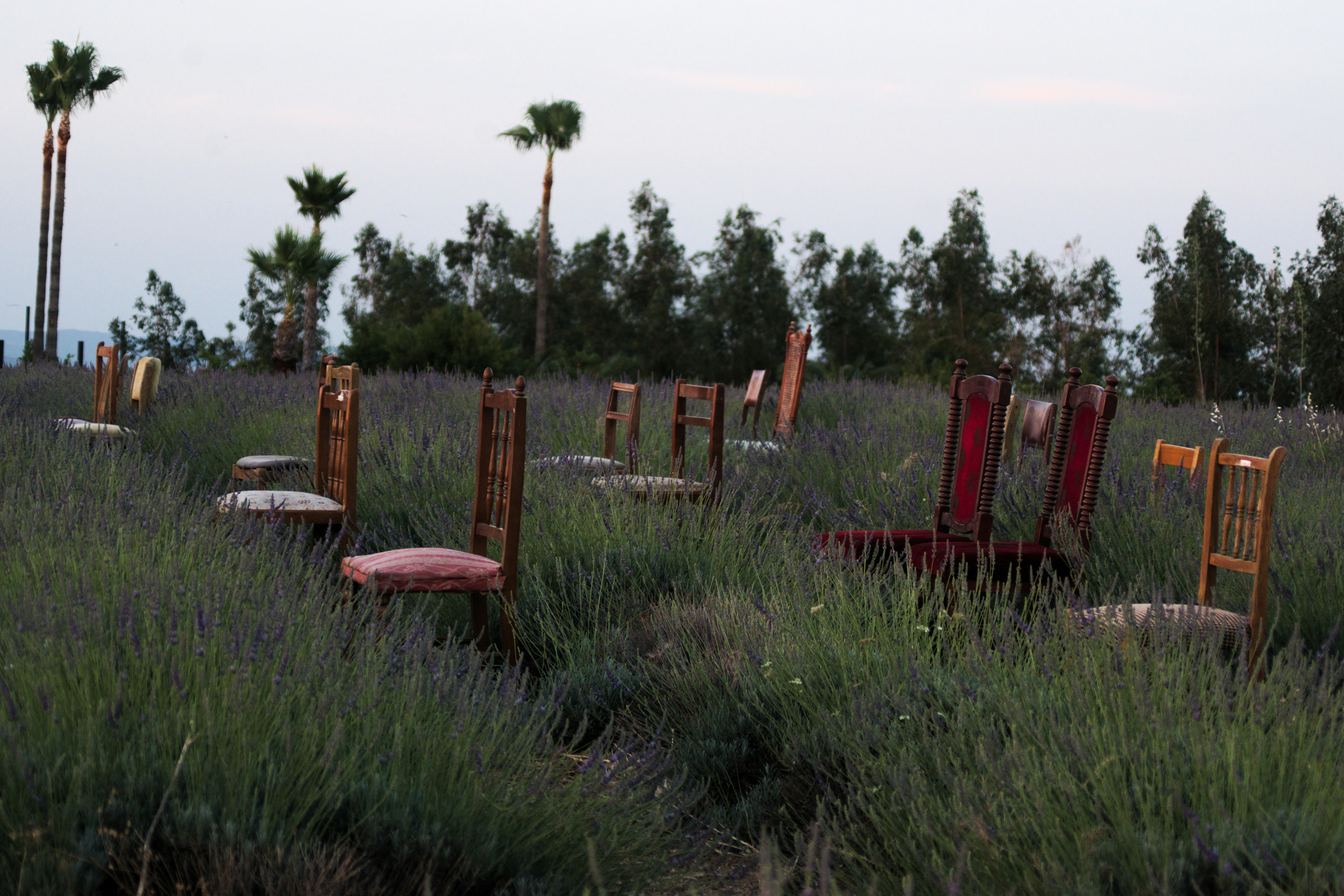 a bunch of chairs that are sitting in the grass