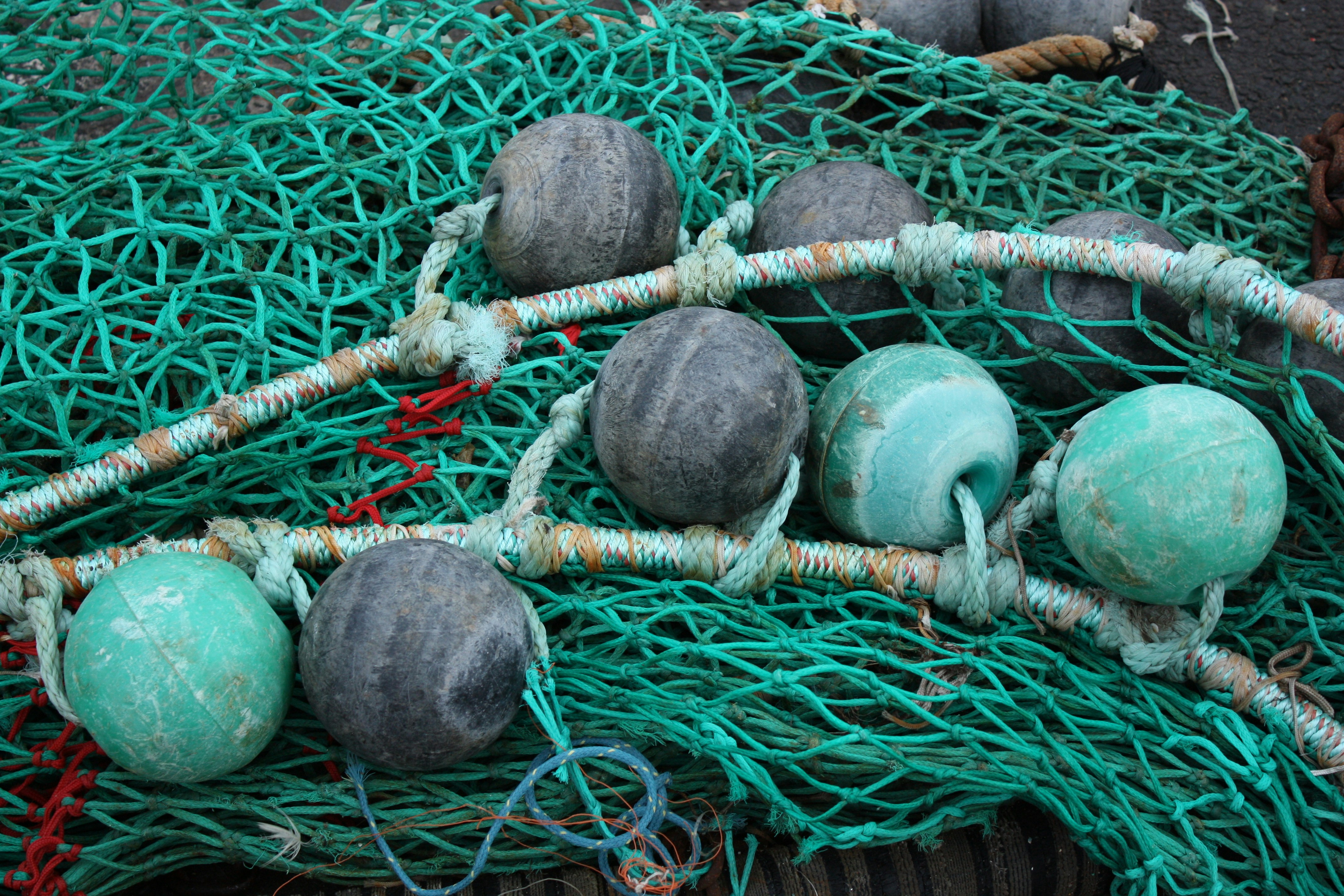 Tangled Emerald Buoys: Texture and Light on a Harbor Net