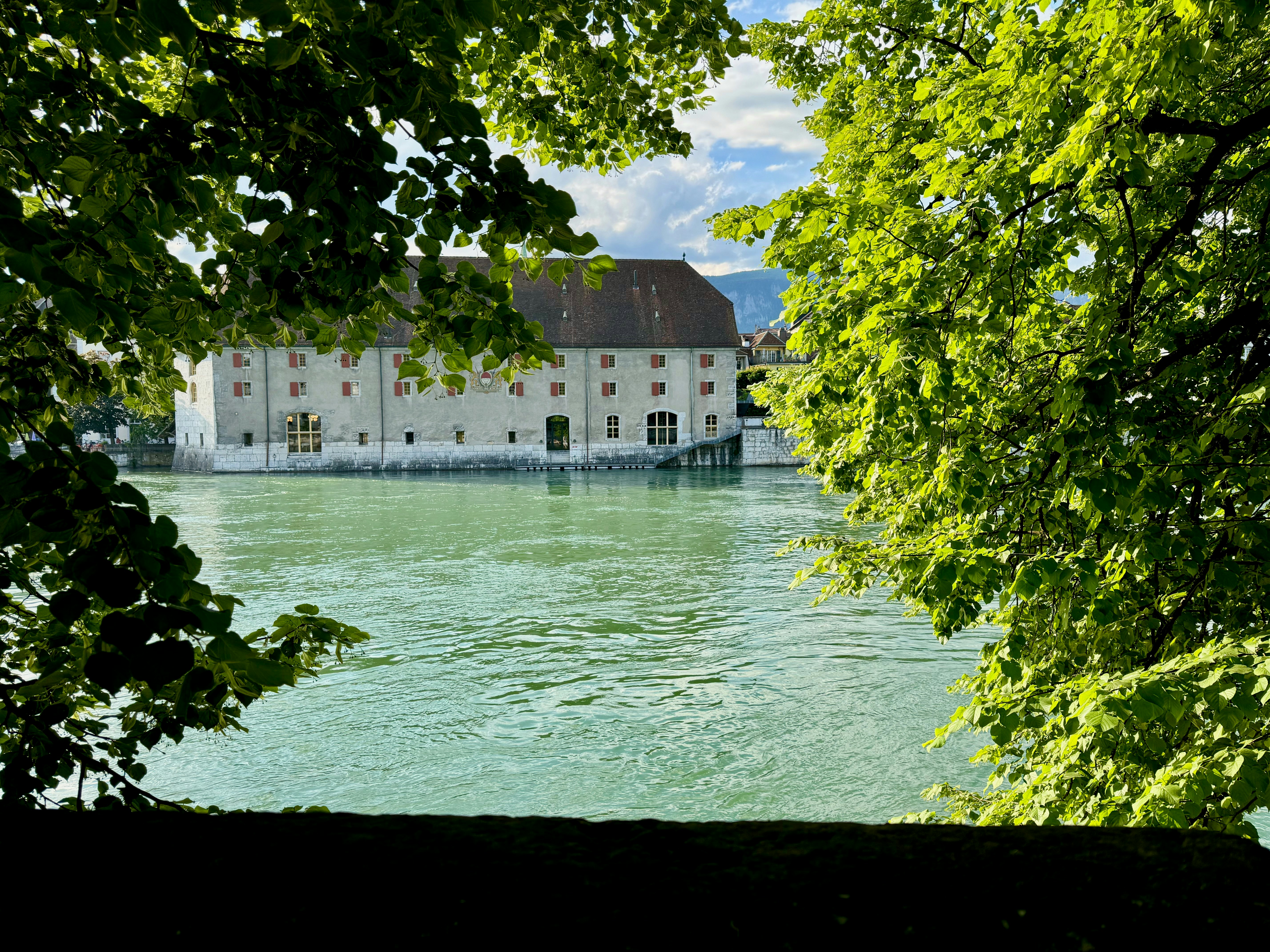 Riverside Serenity Framed by Verdant Foliage