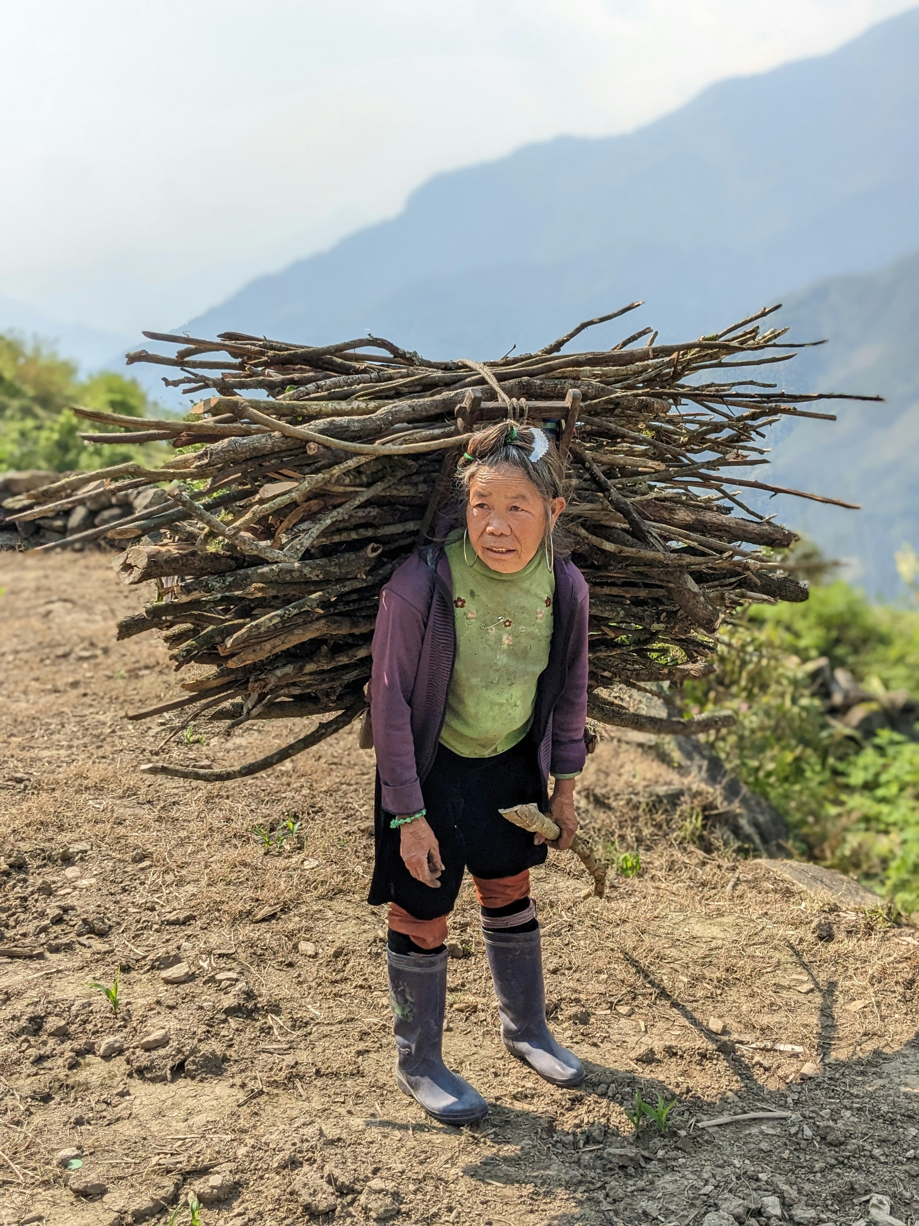 A woman carrying a bundle of sticks on her back photo – Free Solo ...