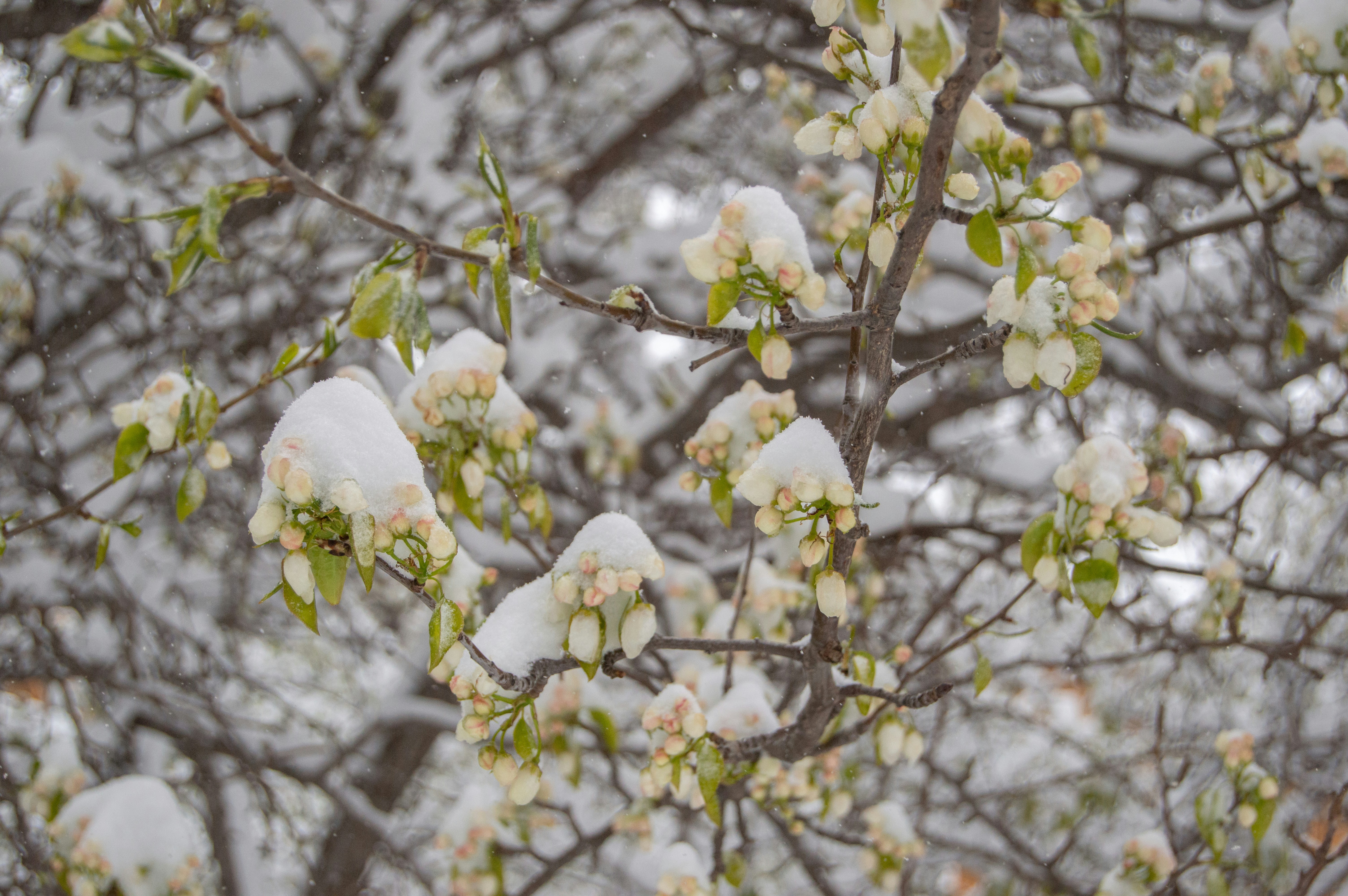 Photo by elizabeth with Nikon D3200