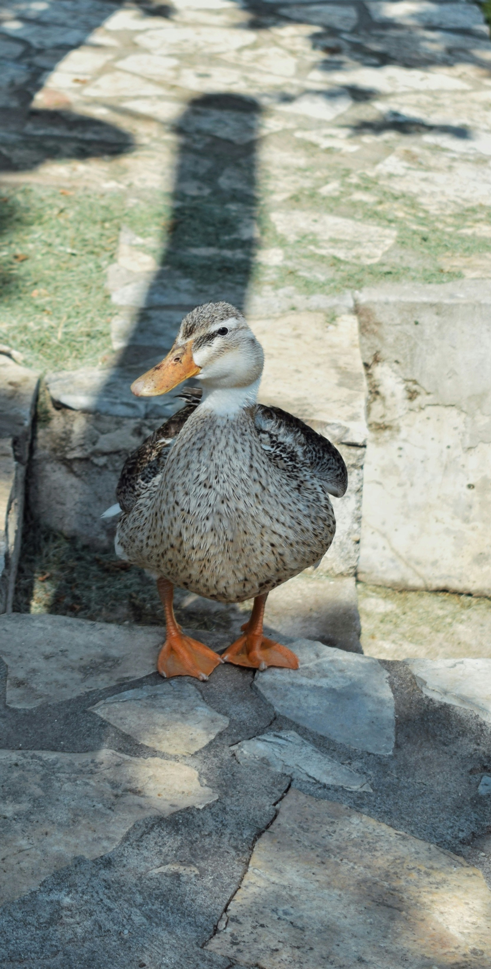 Photo by Xhiliana with Nikon D5300