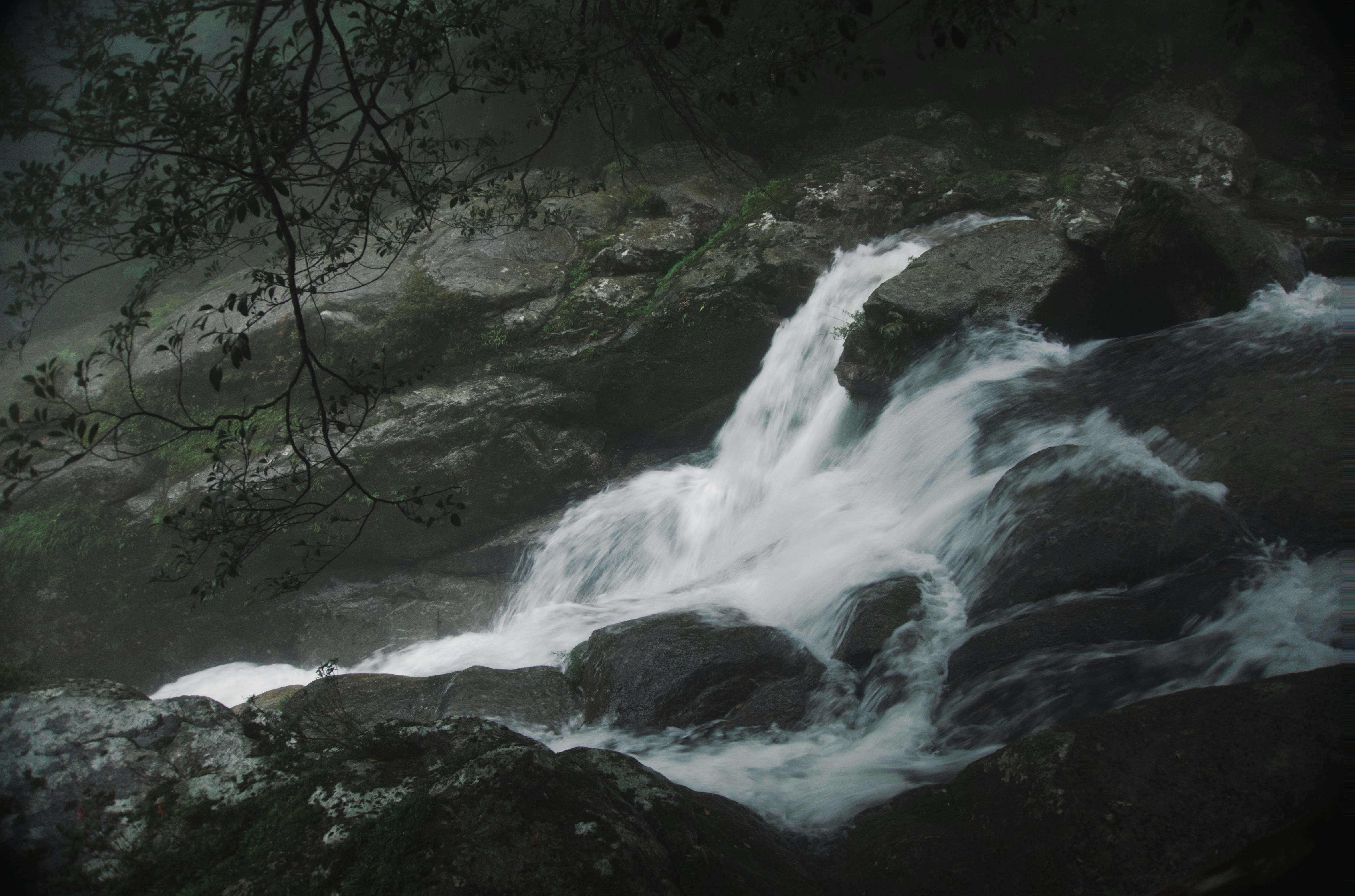 A stream of water running over rocks in a forest photo – Free Grey ...