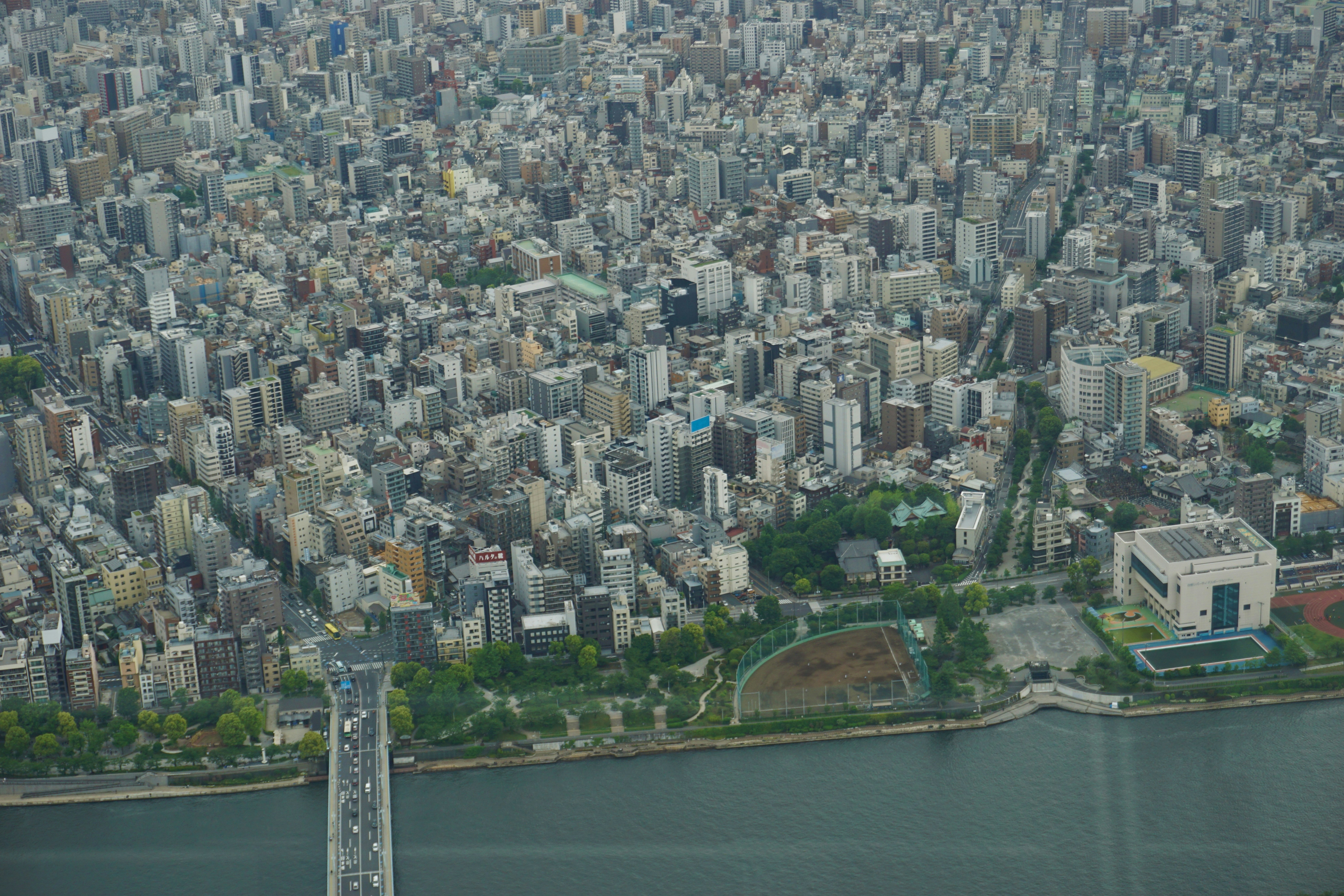 Photo by Syria Polidoro with Sony Alpha 6000