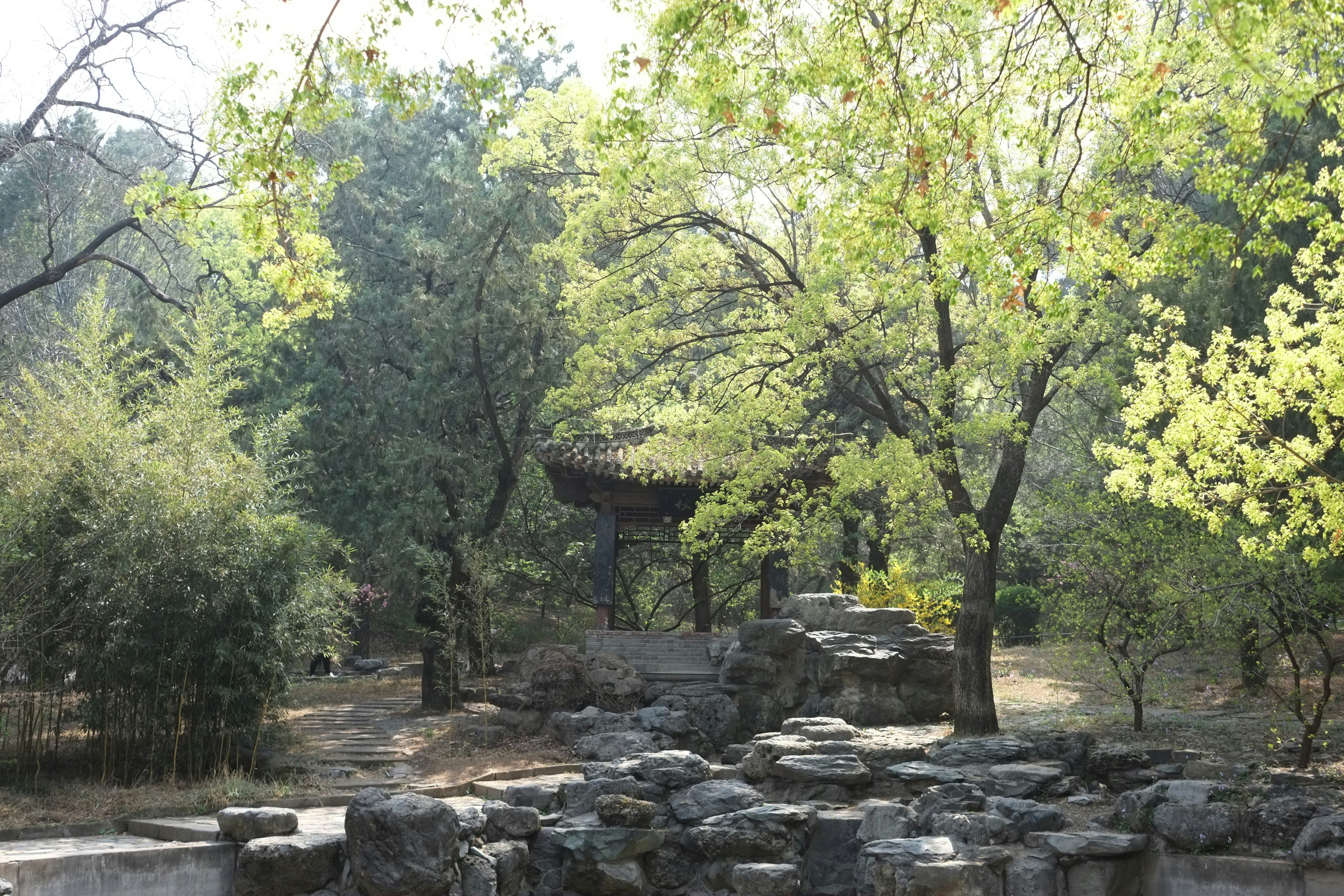 Photo by MChe Lee with Fujifilm X-E1