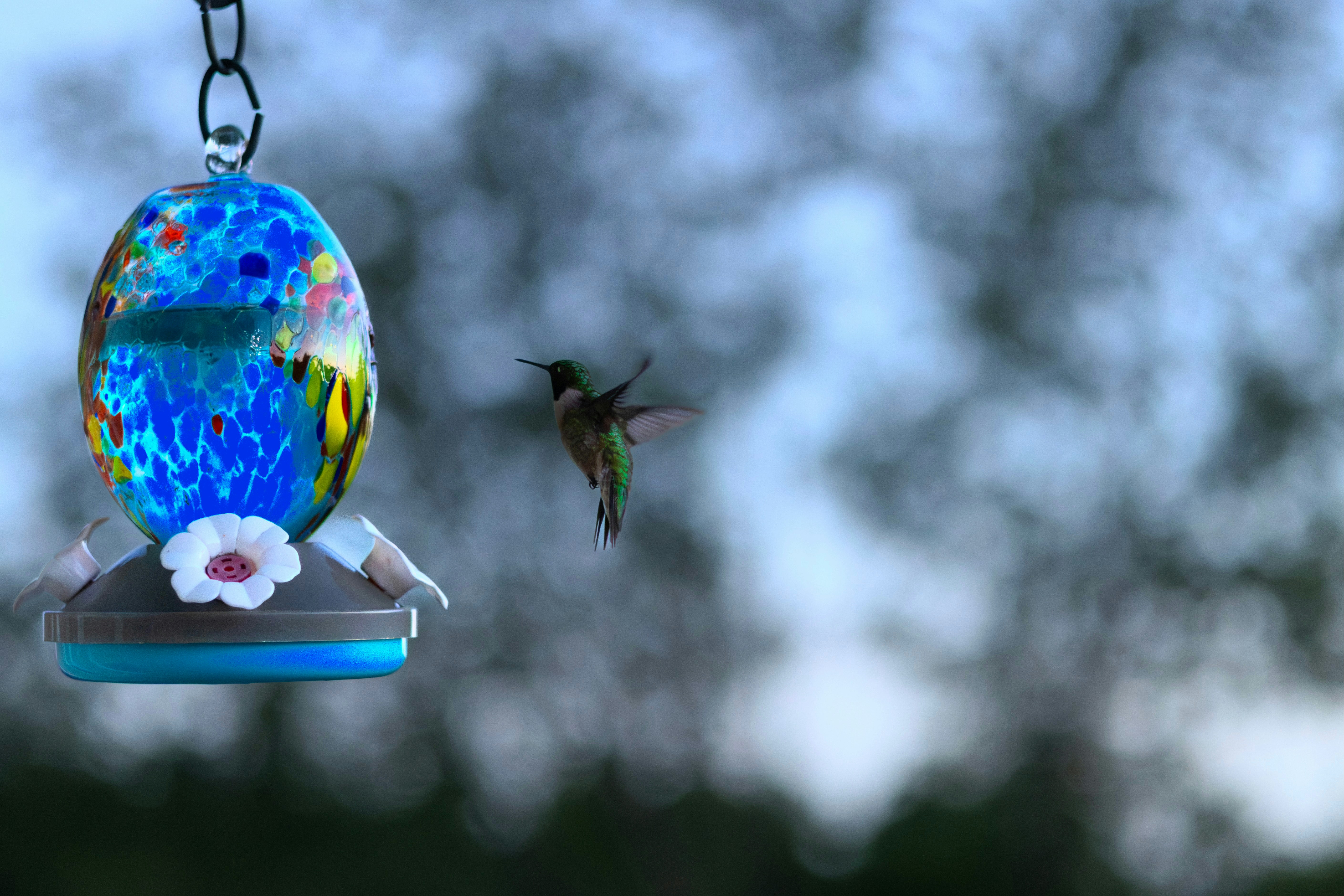 Hummingbird hovering near a vibrant feeder adorned with a floral design, set against a softly blurred background of trees at twilight.