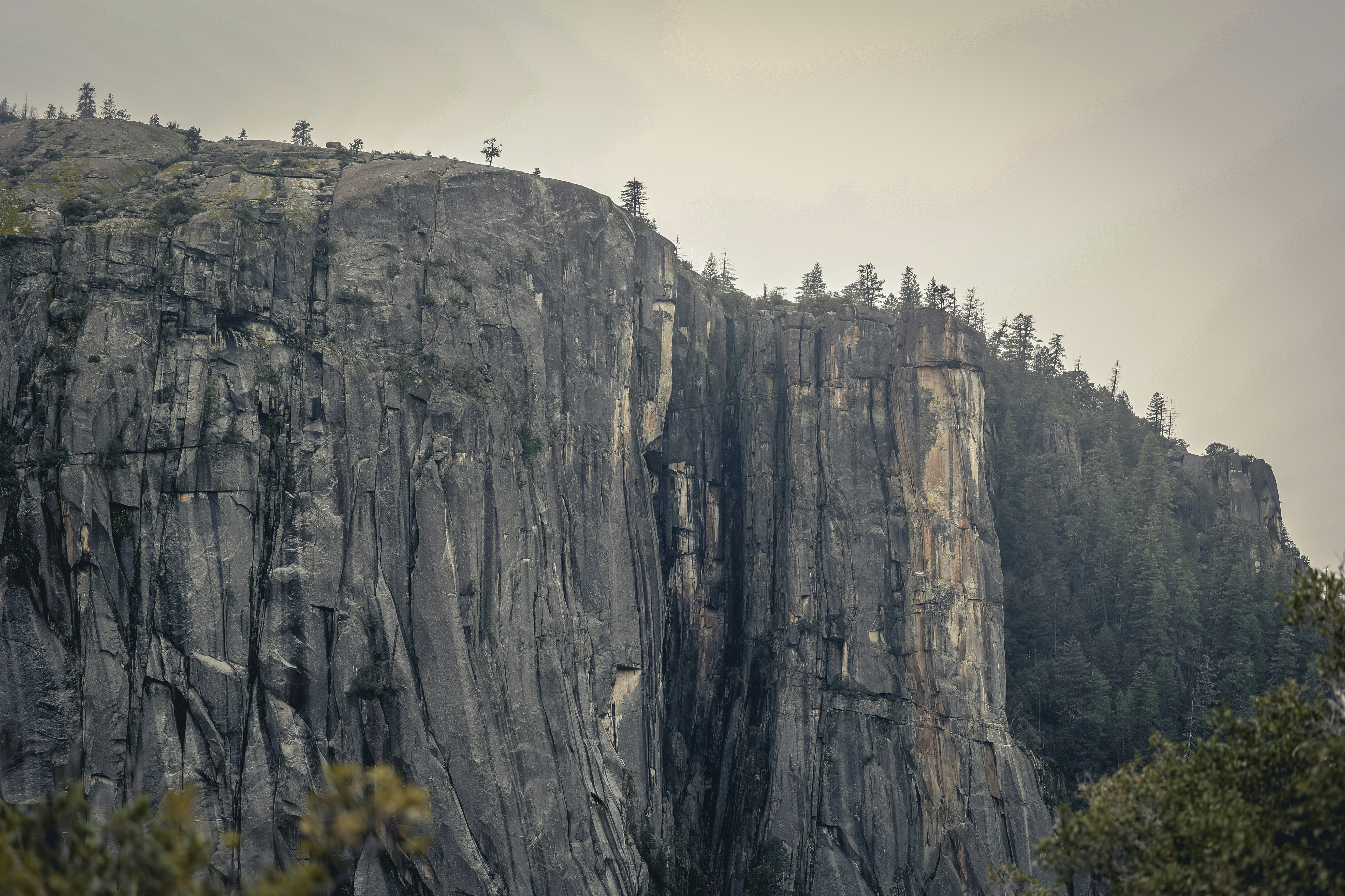 Timeworn Granite Spires Loom Over a Forested Ridge