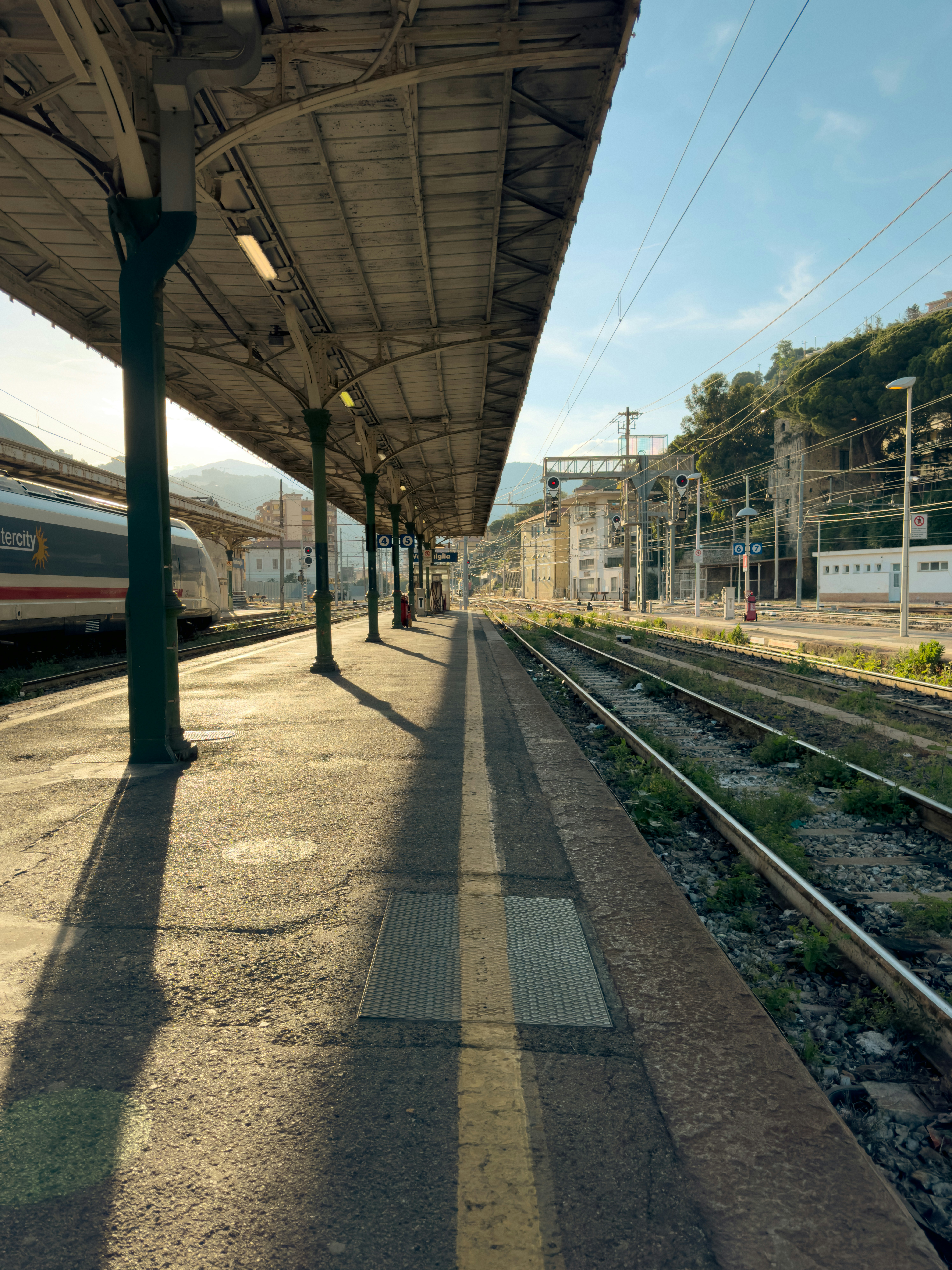 Shot on iPhone 15 Pro, Edited on Lightroom Mobile