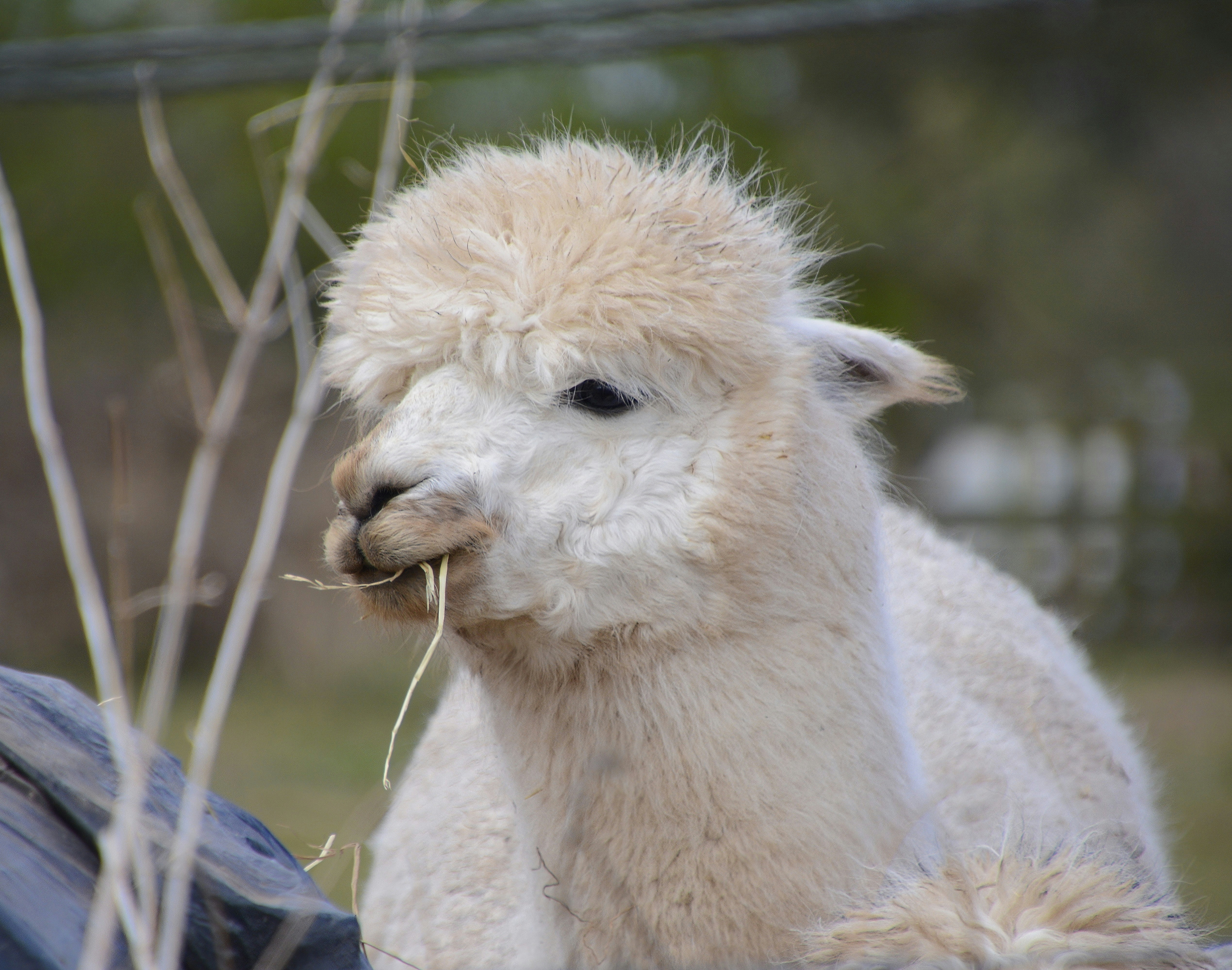 Photo by David Edkins with Nikon D7100