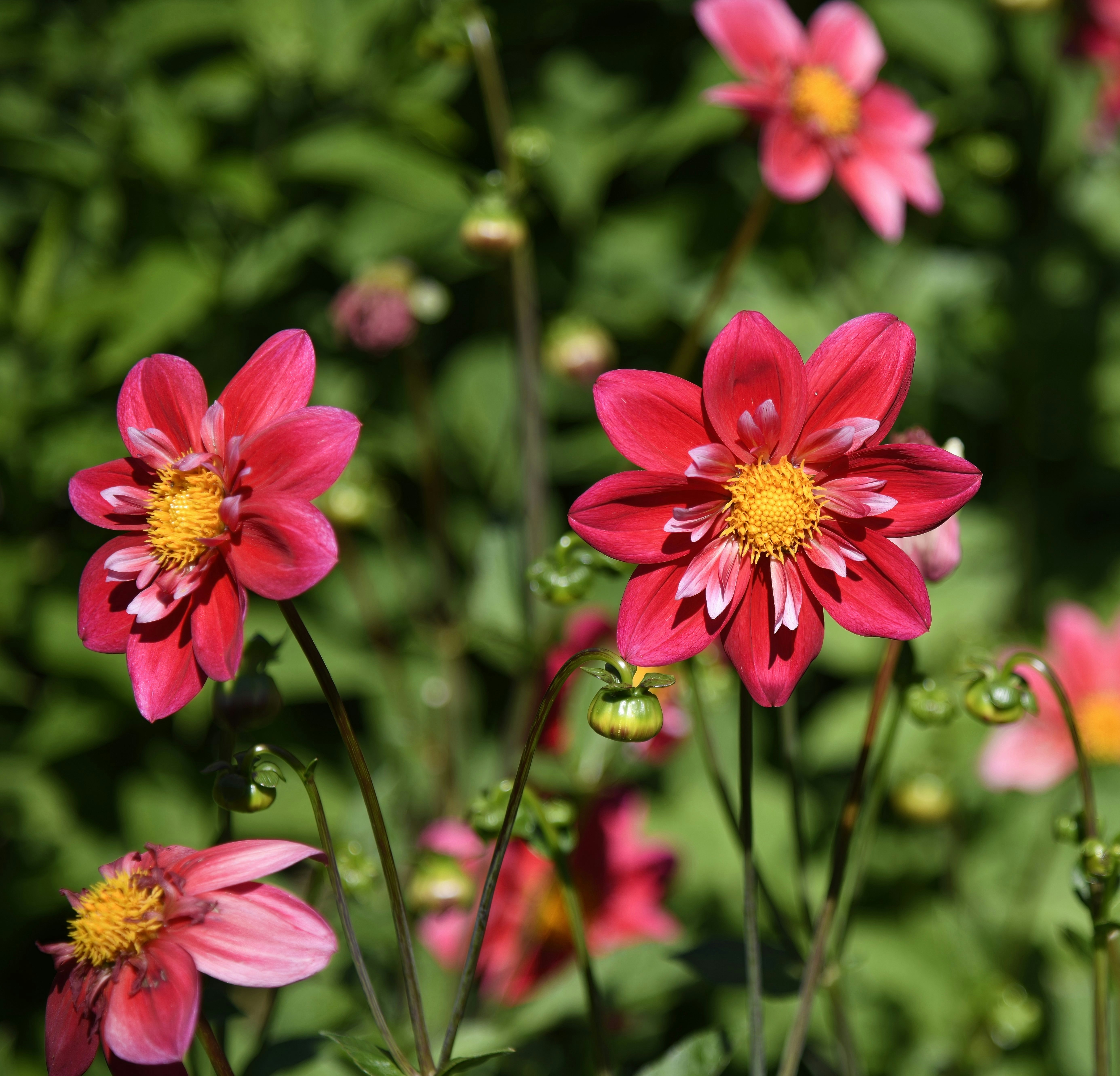 David Edkins (@romebaby) | Unsplash Photo Community