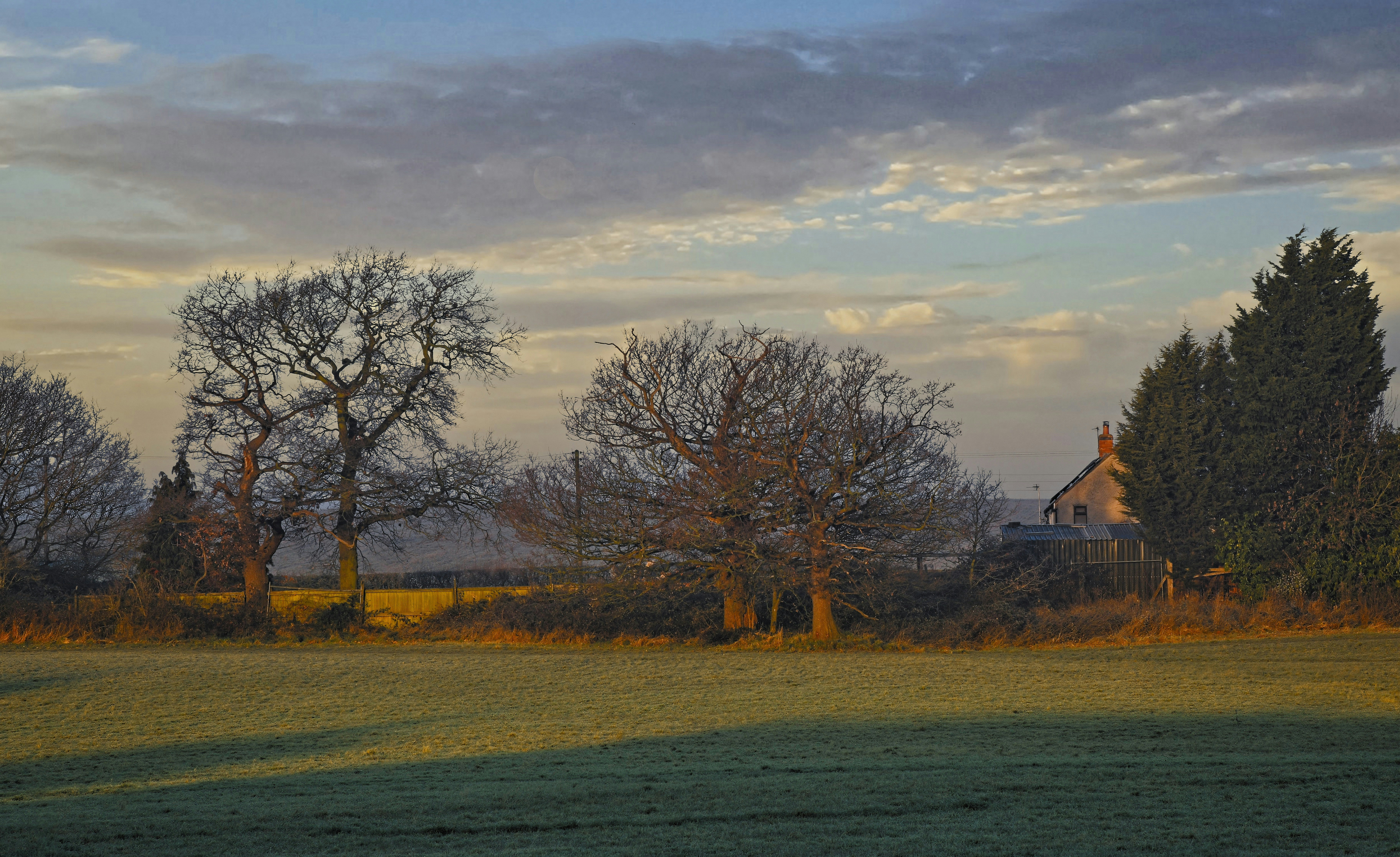 David Edkins (@romebaby) | Unsplash Photo Community