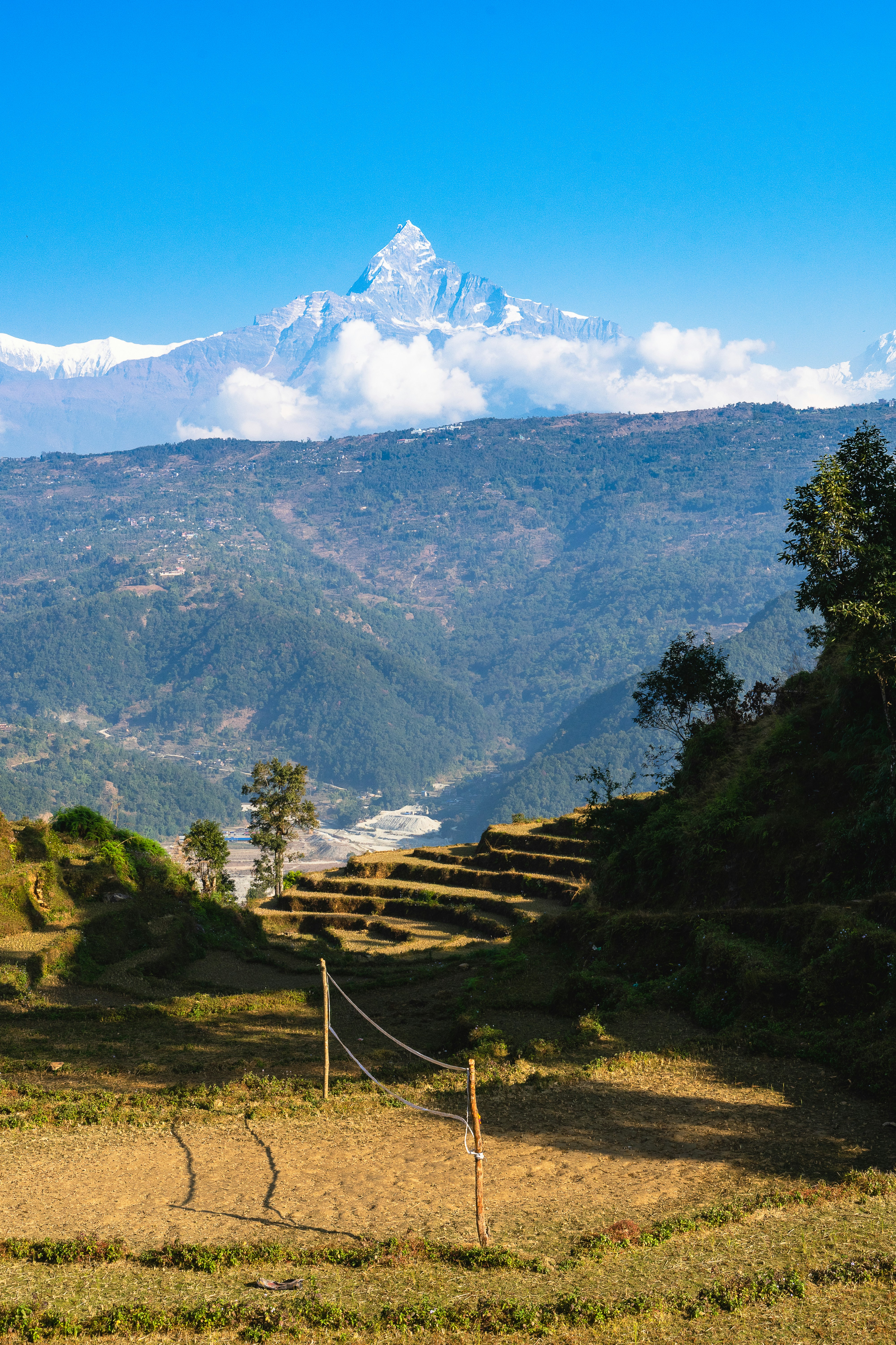 Terraced fields march toward a snow-capped peak under a bright blue sky