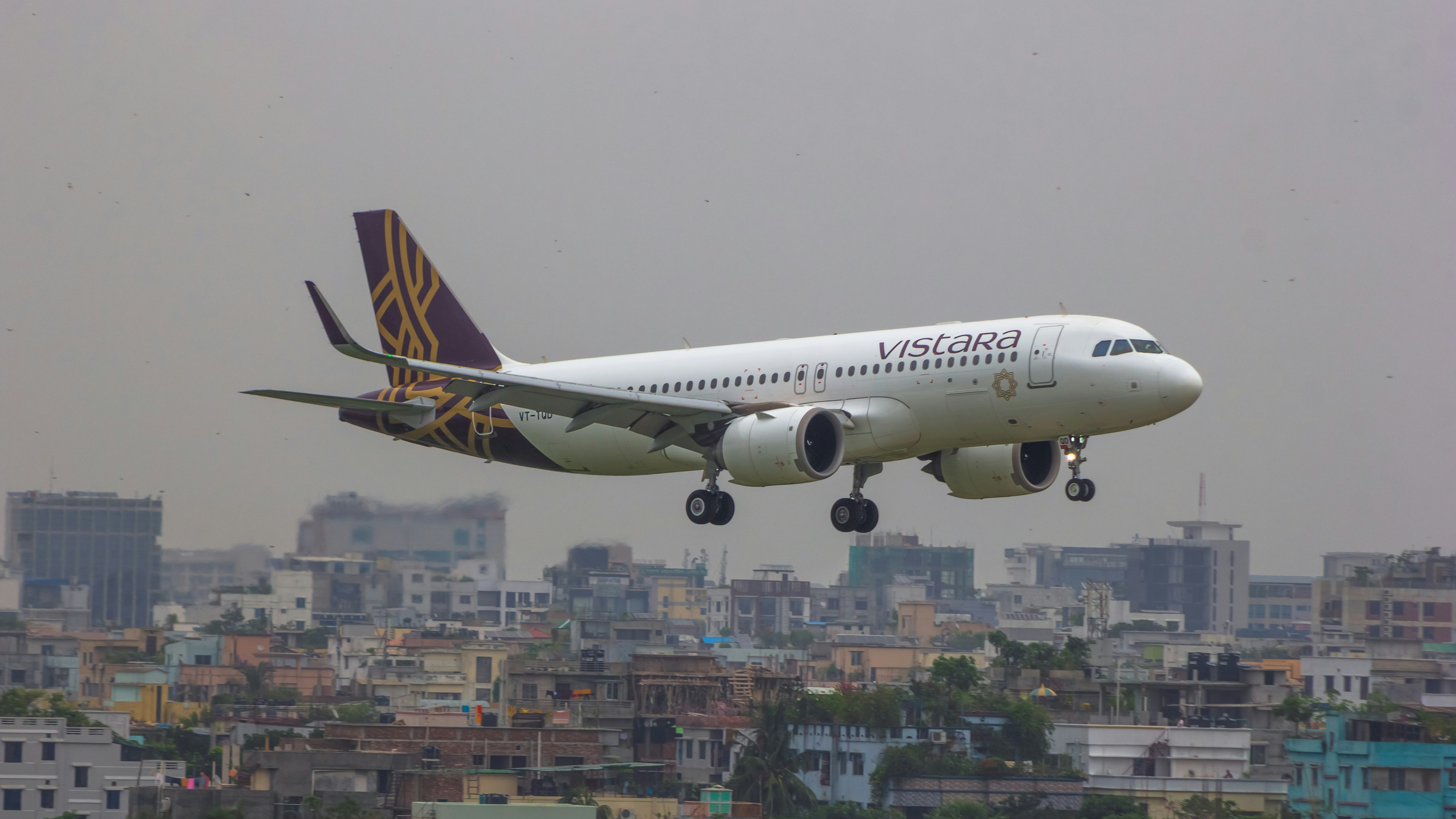 Vistara Narrow-body in Transit Over an Urban Landscape