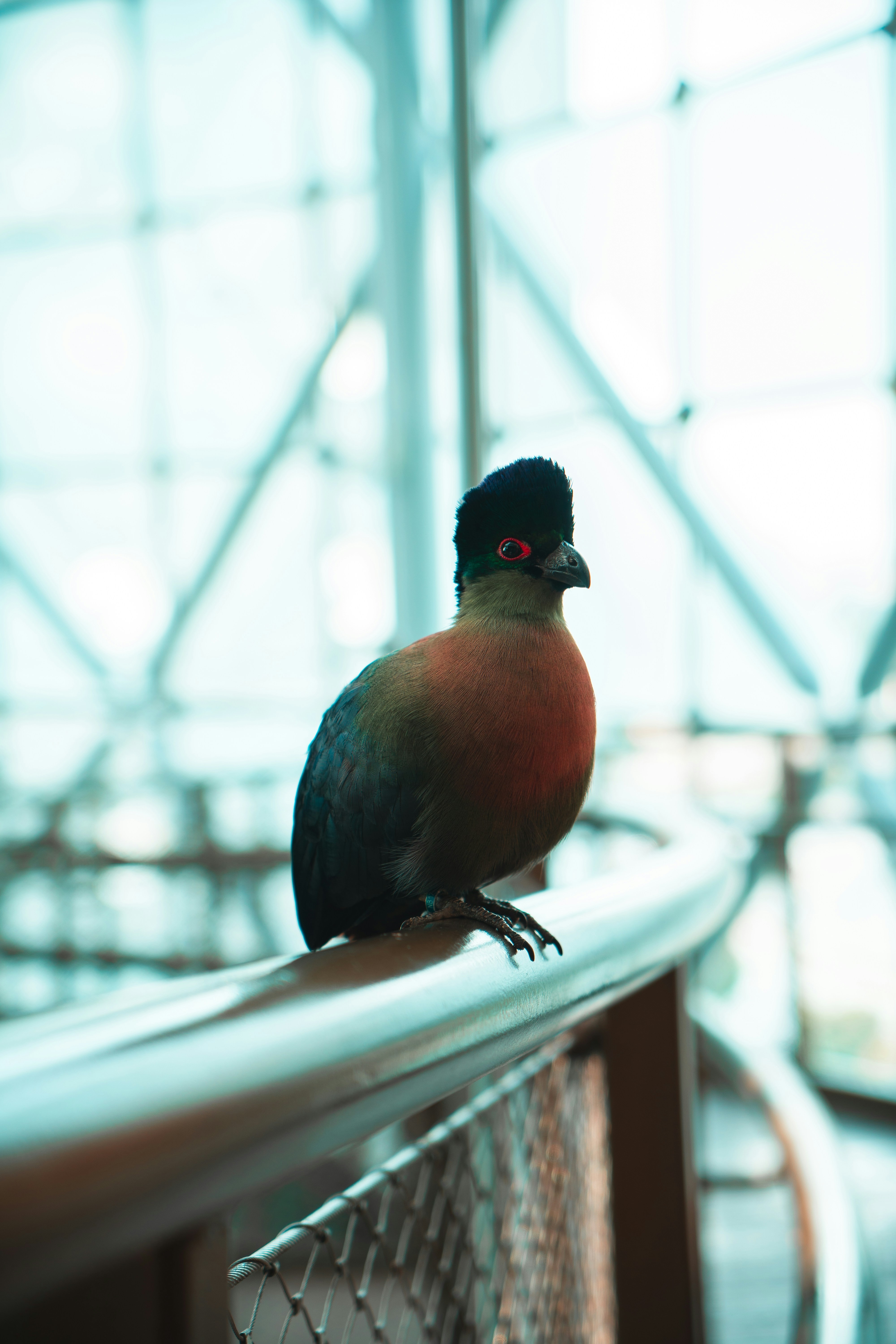 Photo by Alexis AMZ DA CRUZ with Sony Alpha 7 III