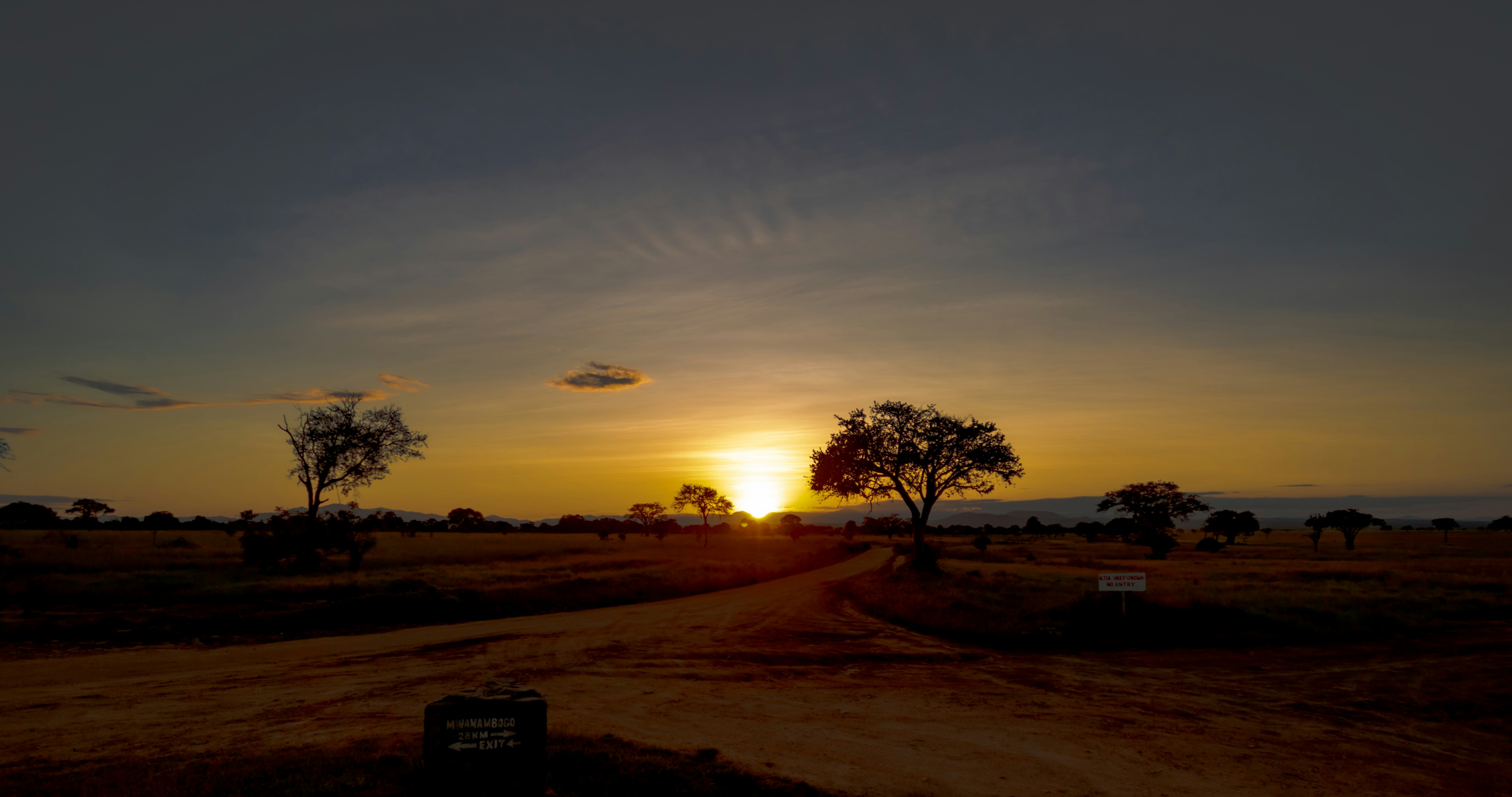 The sun is setting over a dirt road photo – Free Sunset Image on Unsplash