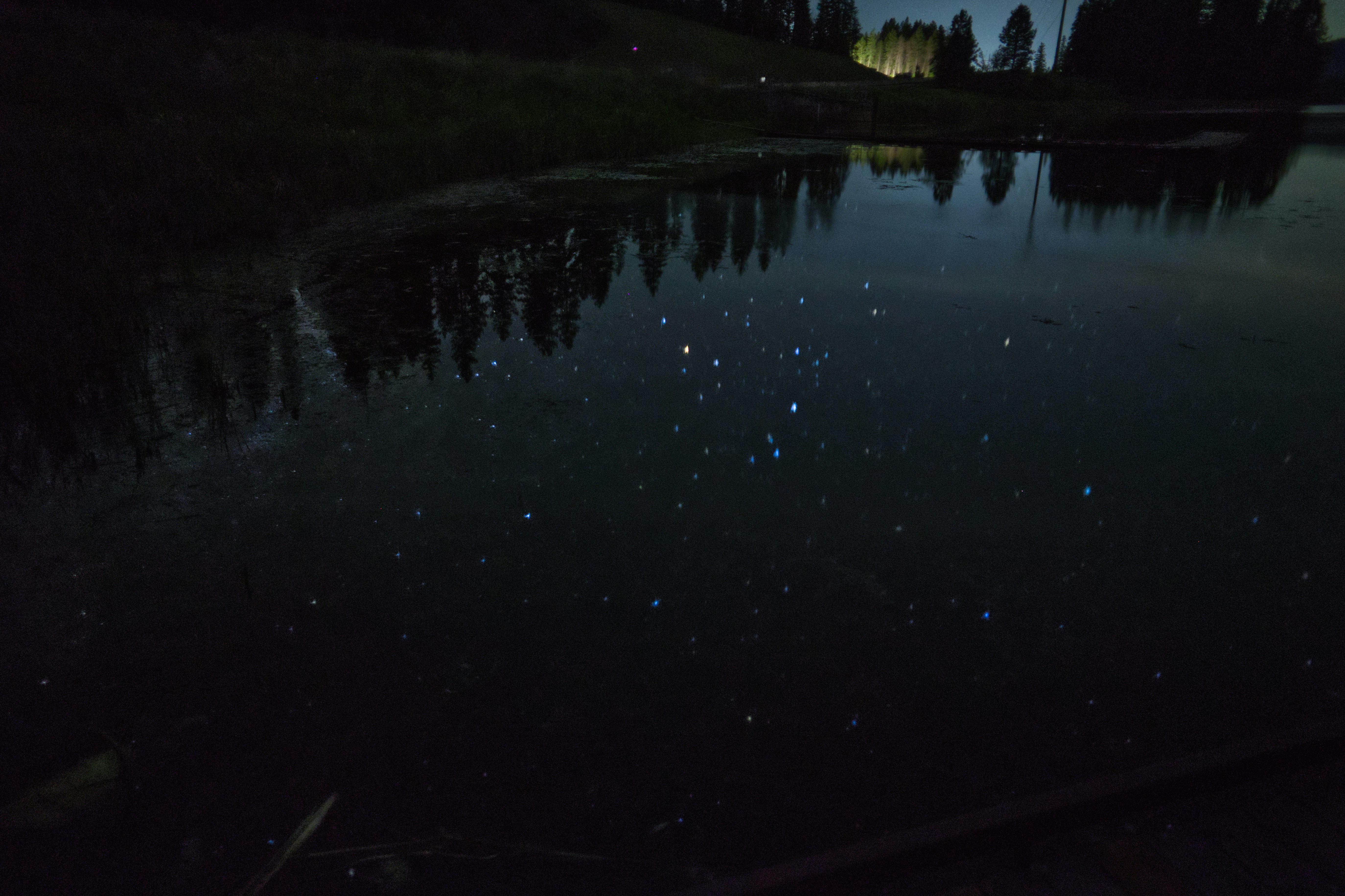Star-dappled Pond: Quiet Night Sky Reflections