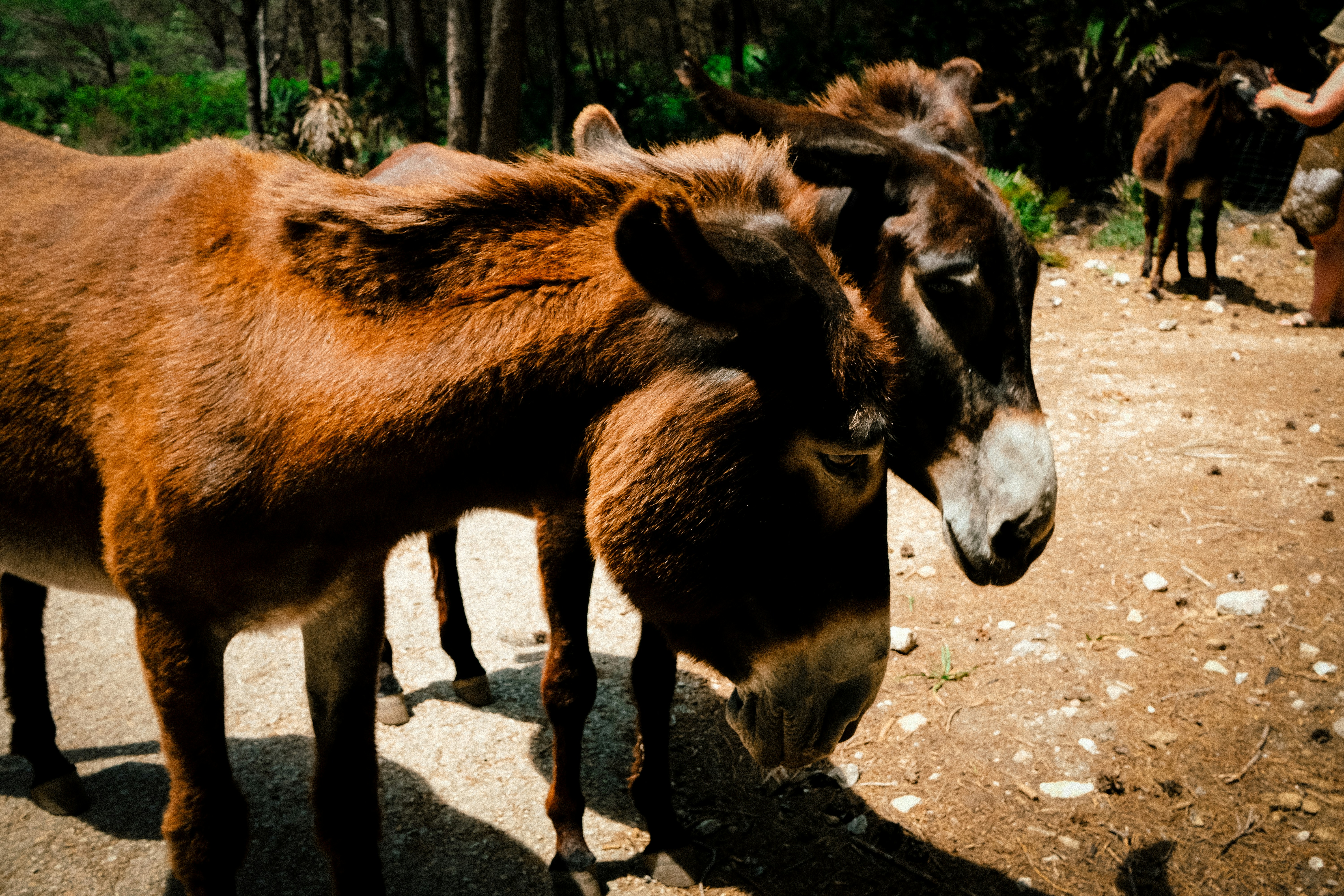 Sample photo from Fujifilm X-Pro2