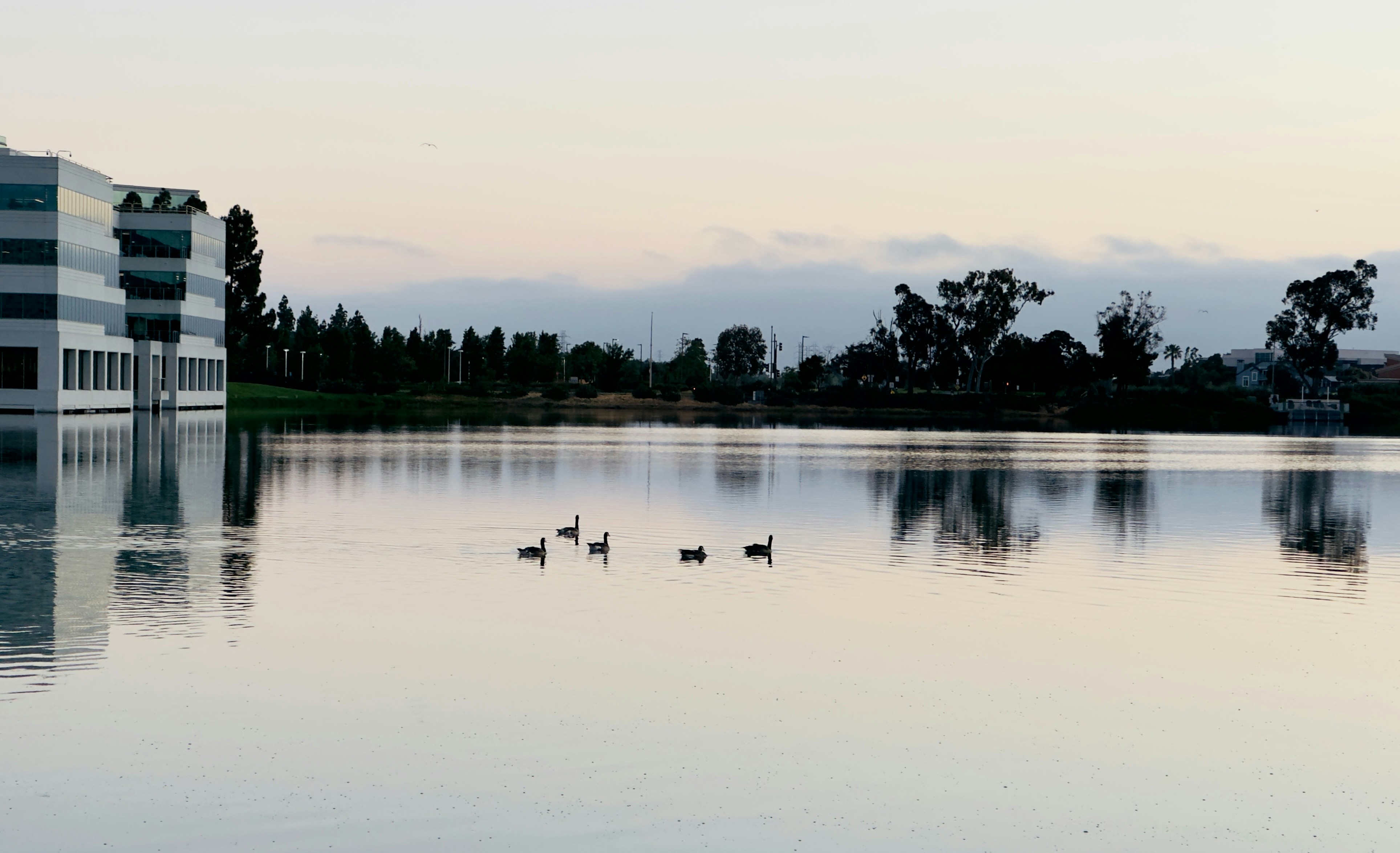 Dusk Over a Glassy Lake by a Modern Building Wing
