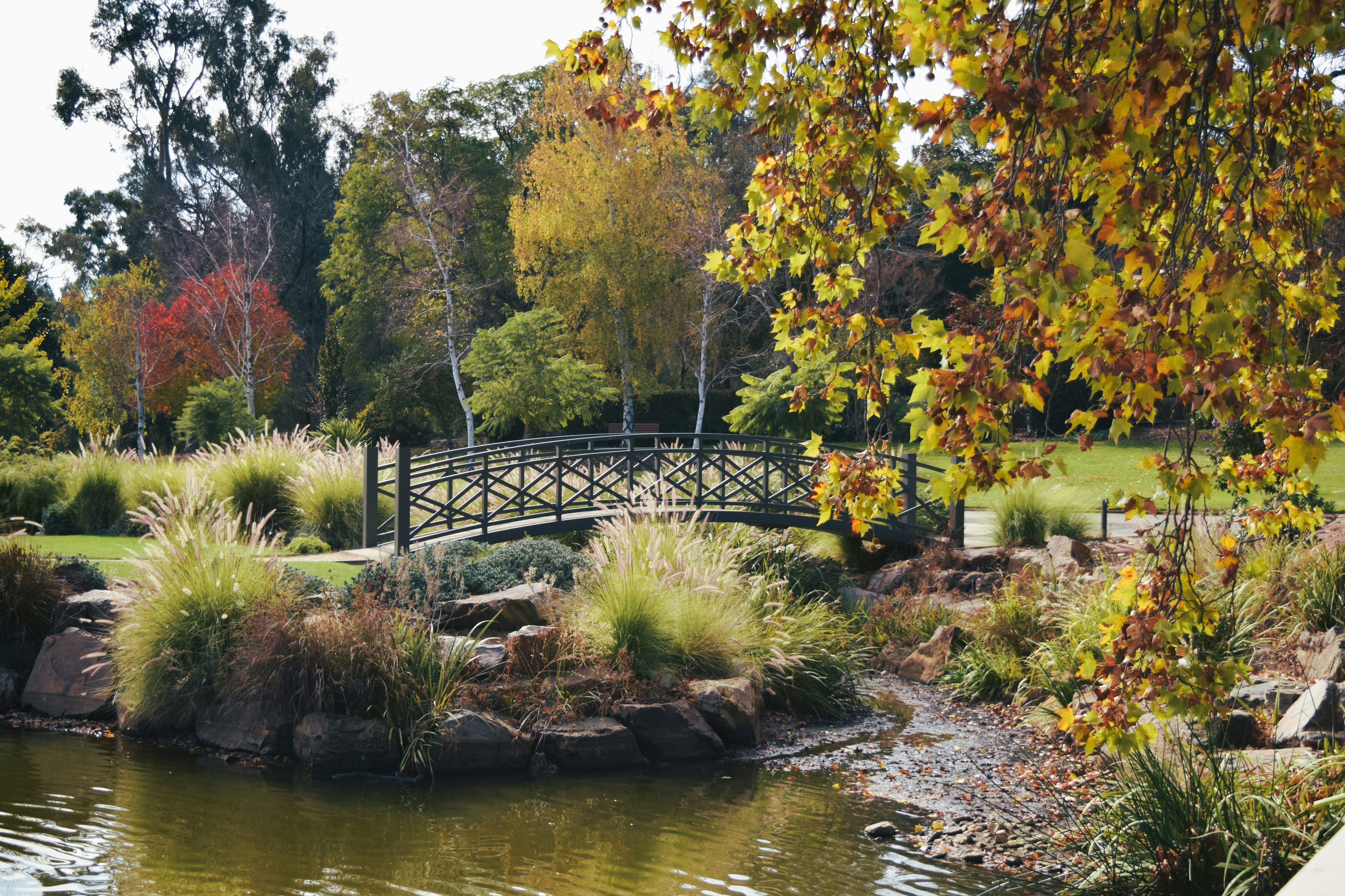 Photo by Ch Photography with Nikon D3300