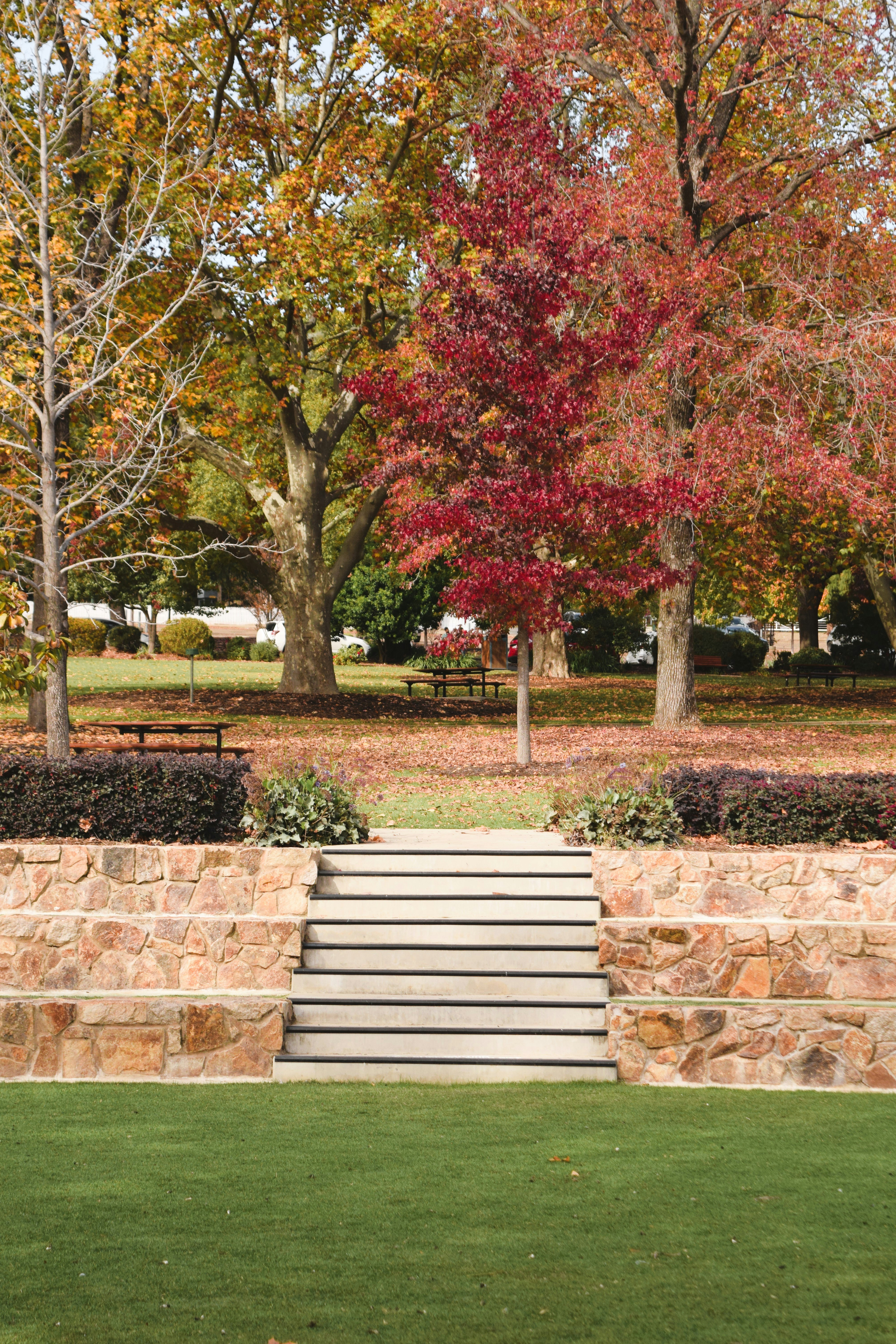 Crimson Canopy Framing a Stone Staircase in Autumn Park
