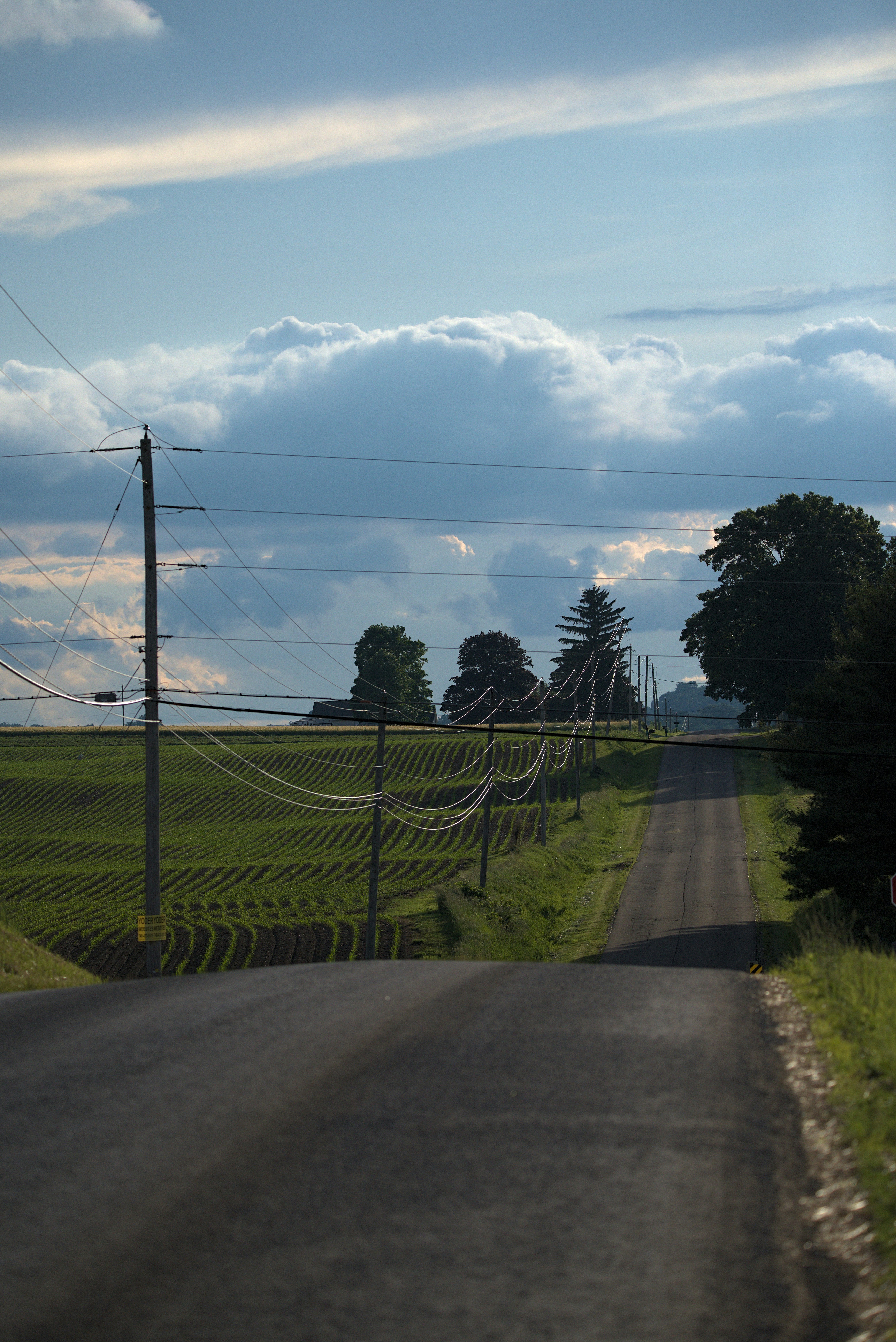 Vanishing Road Beneath a Tangle of Power Lines