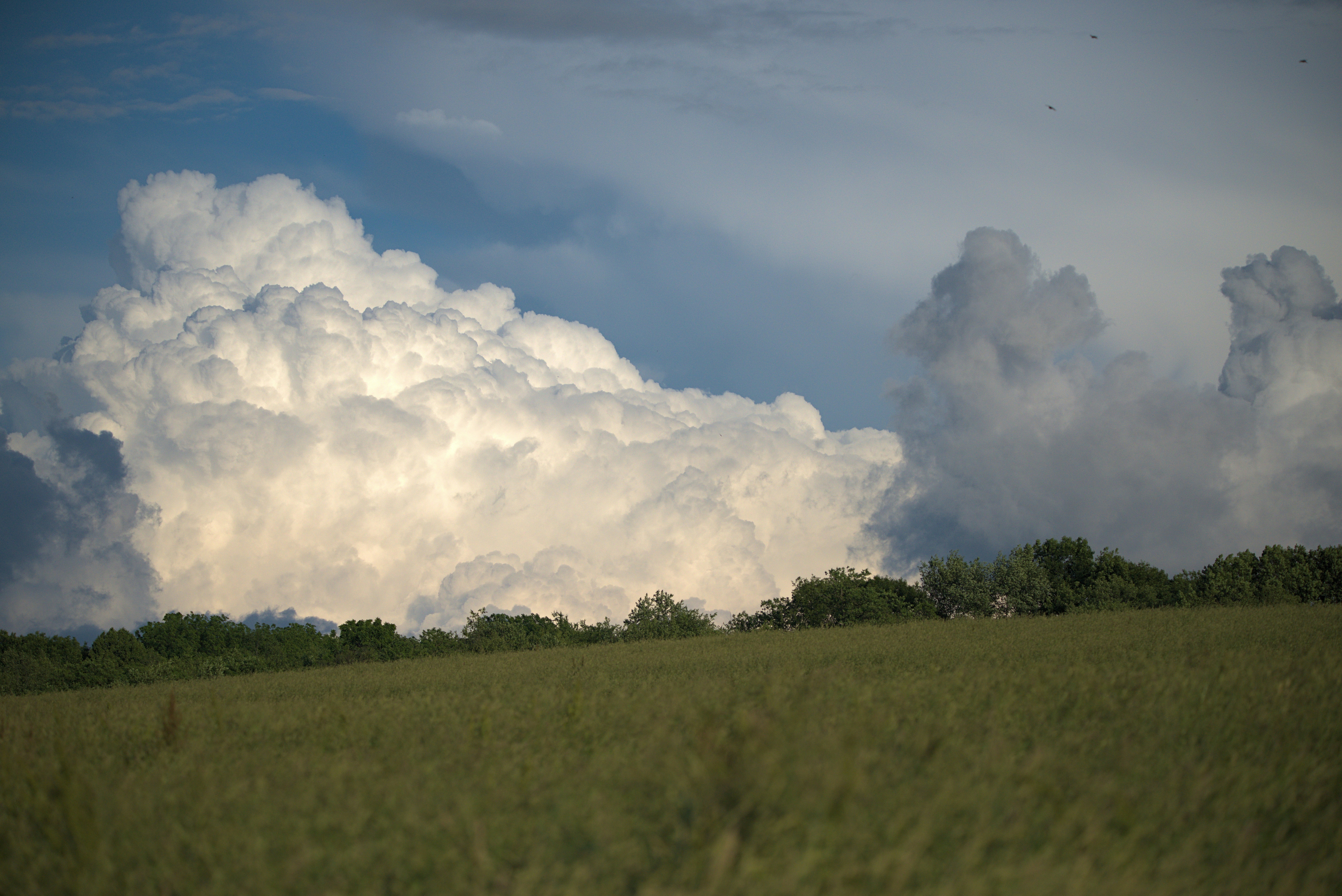 Cumulus Cathedral Over a Quiet Prairie Ridge