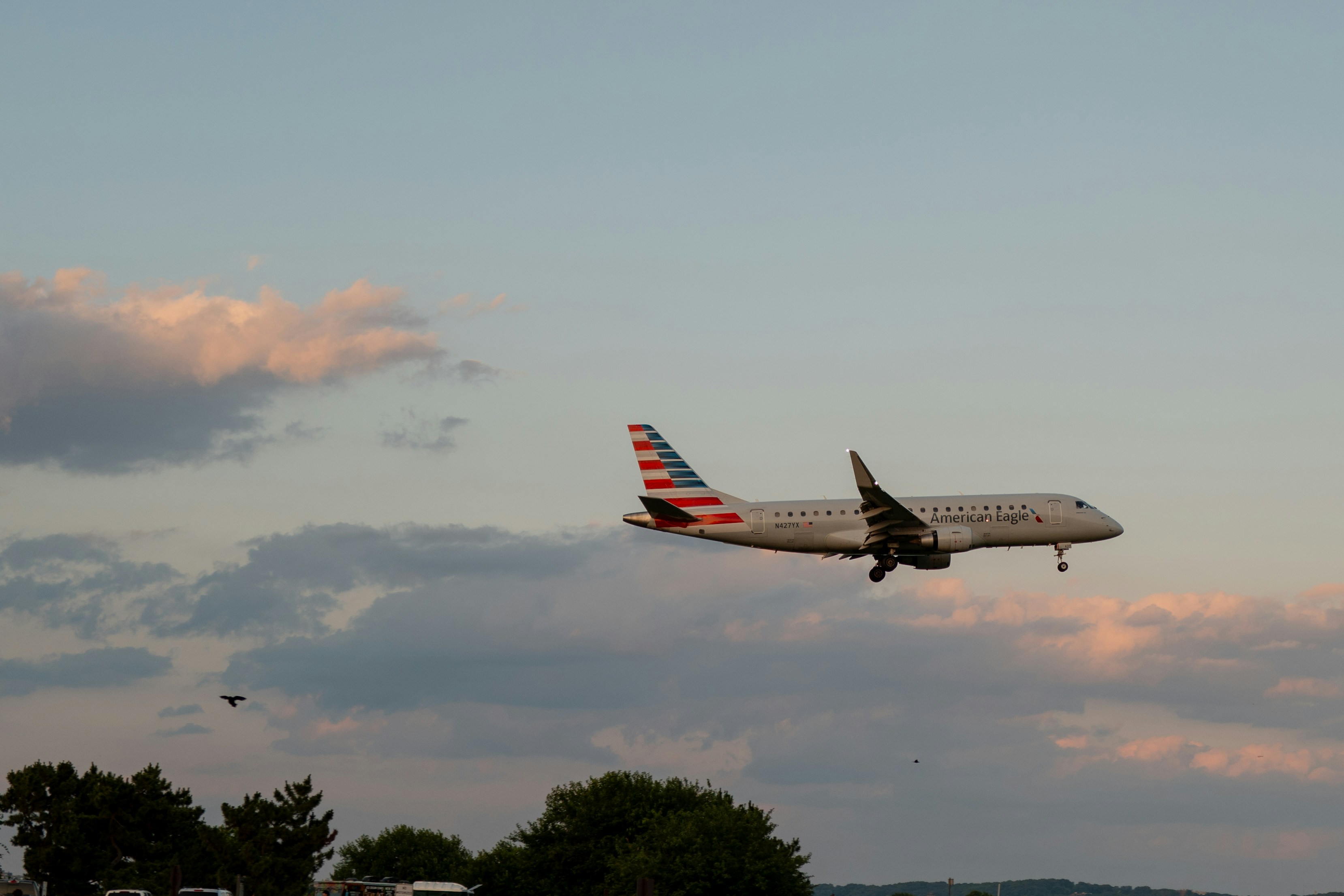 Evening Approach Over the Treeline