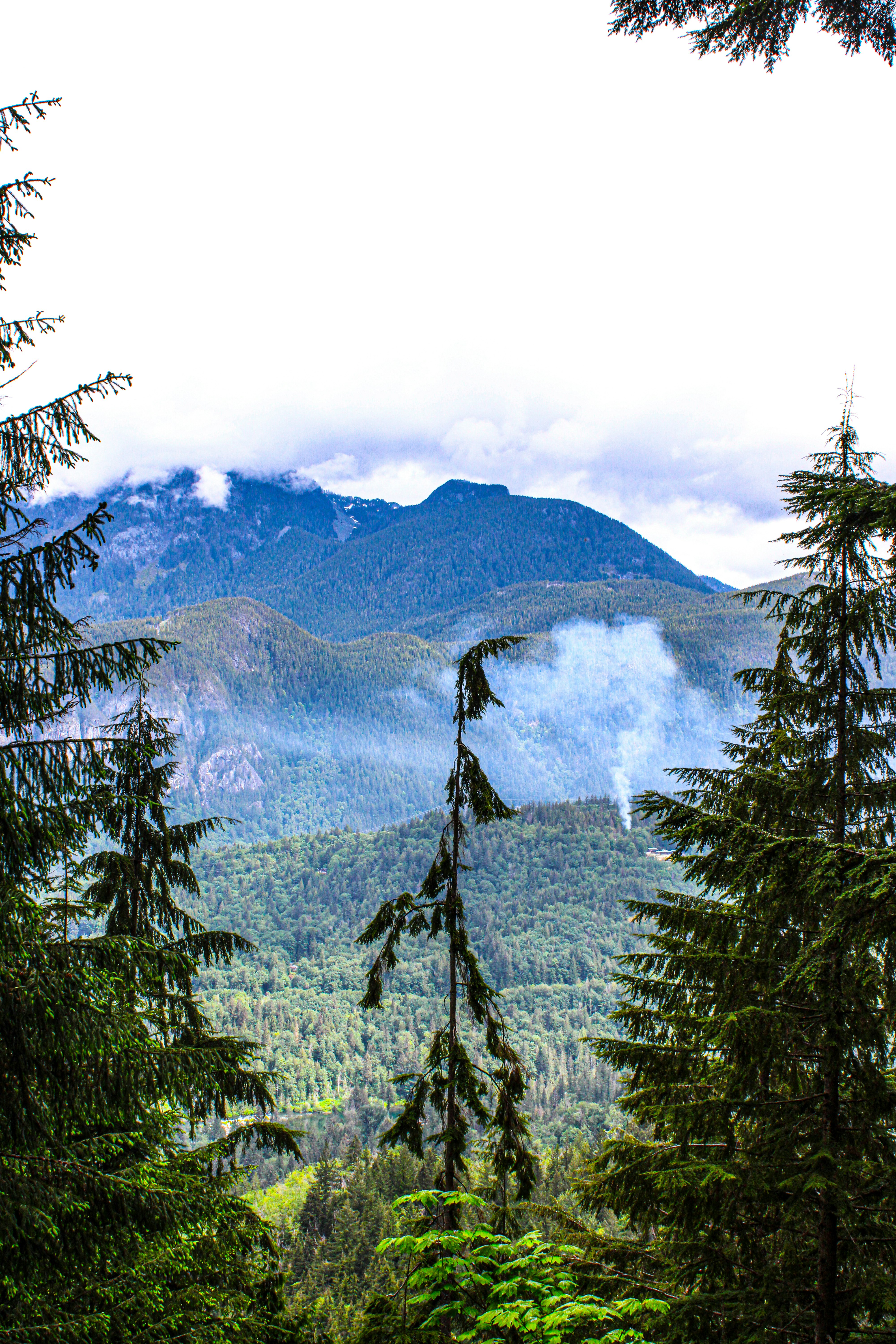 Misty Ridge Amid Conifer Peaks