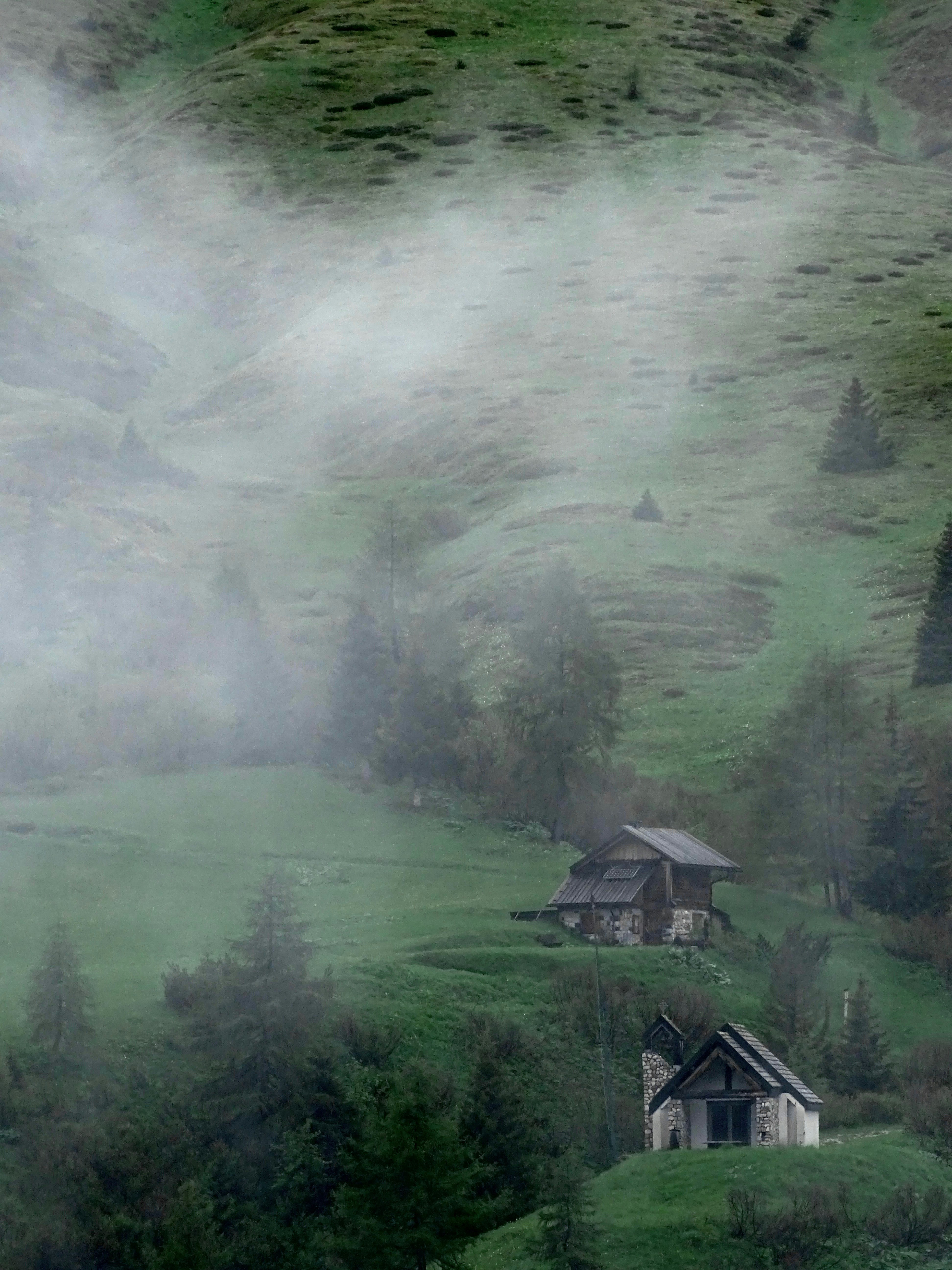 Photo by Yanissa Metselaar with Sony Cyber-shot HX400V