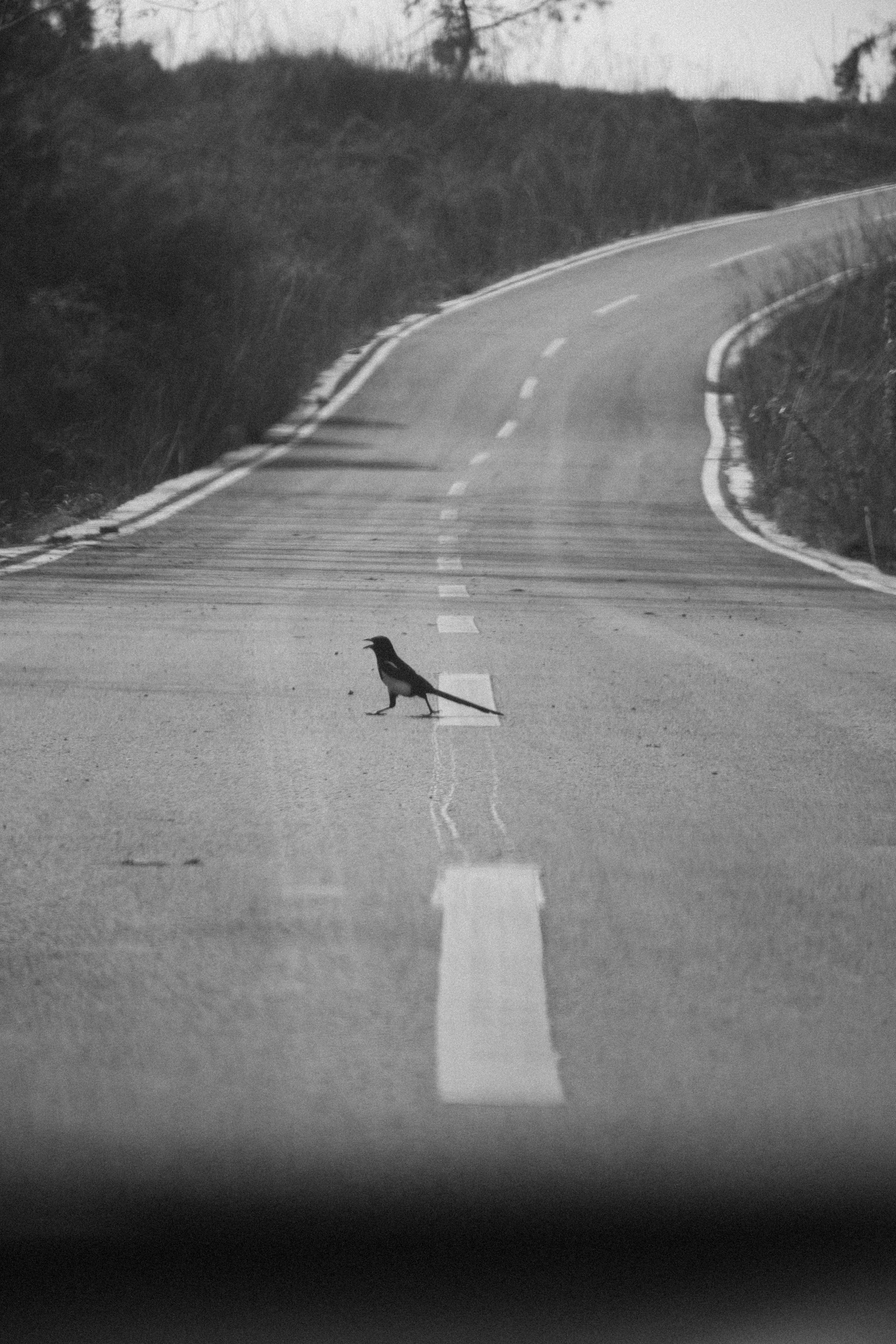 Photo by 河童 with Canon EOS 700D